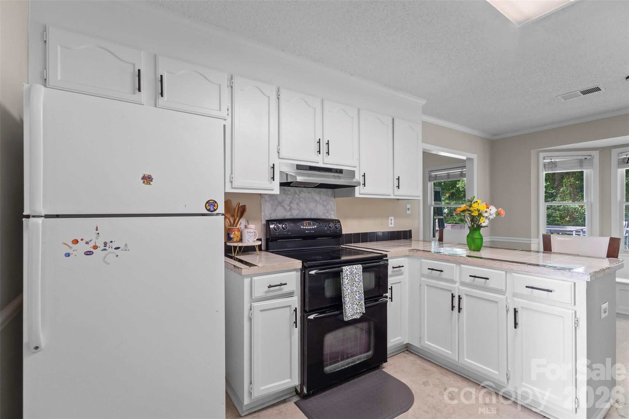 Photo 8 of 8704 Hornwood Court, Charlotte, NC