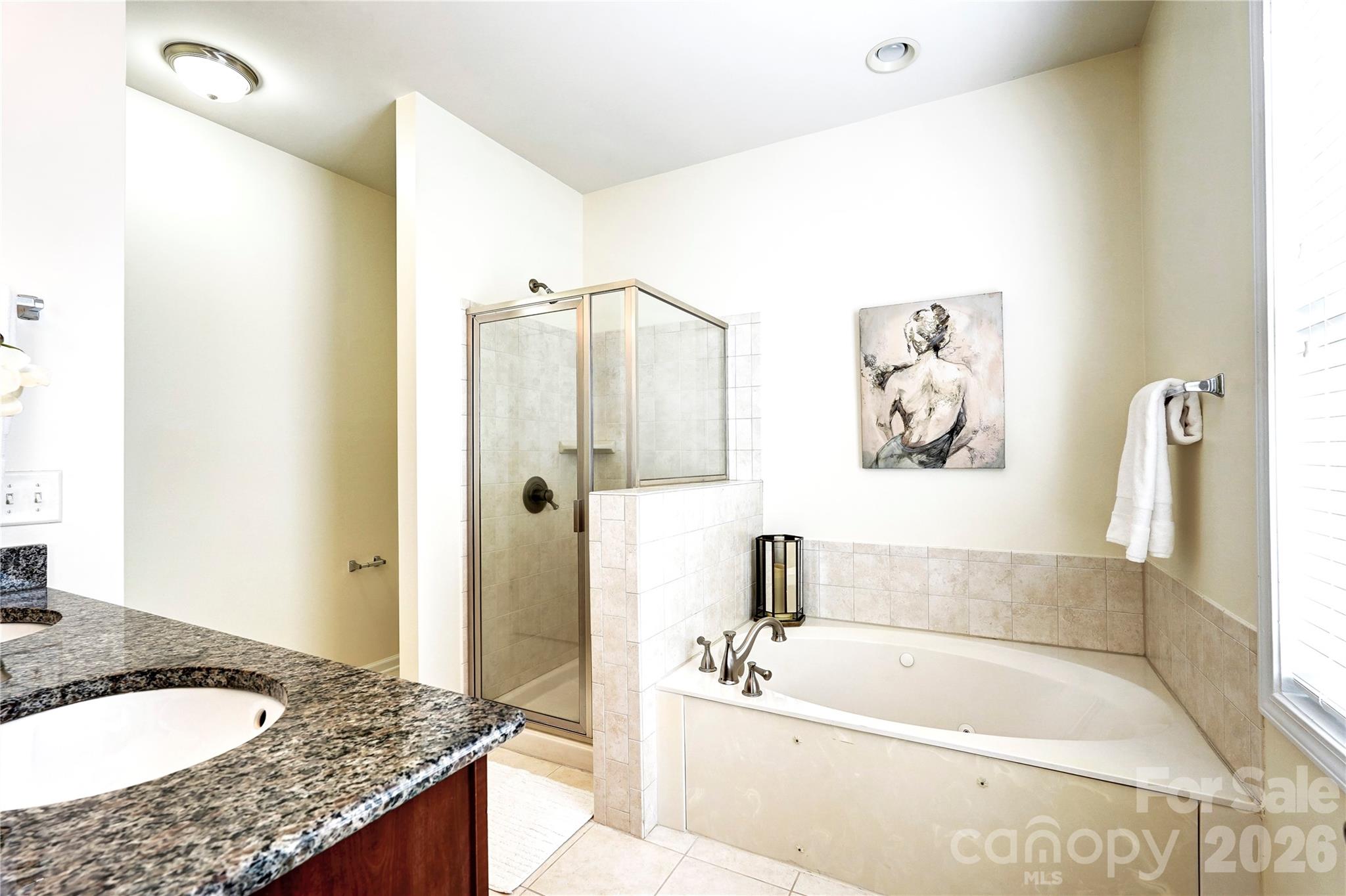 627 Sunfish Lane, Tega Cay, SC - photo 26 of 43