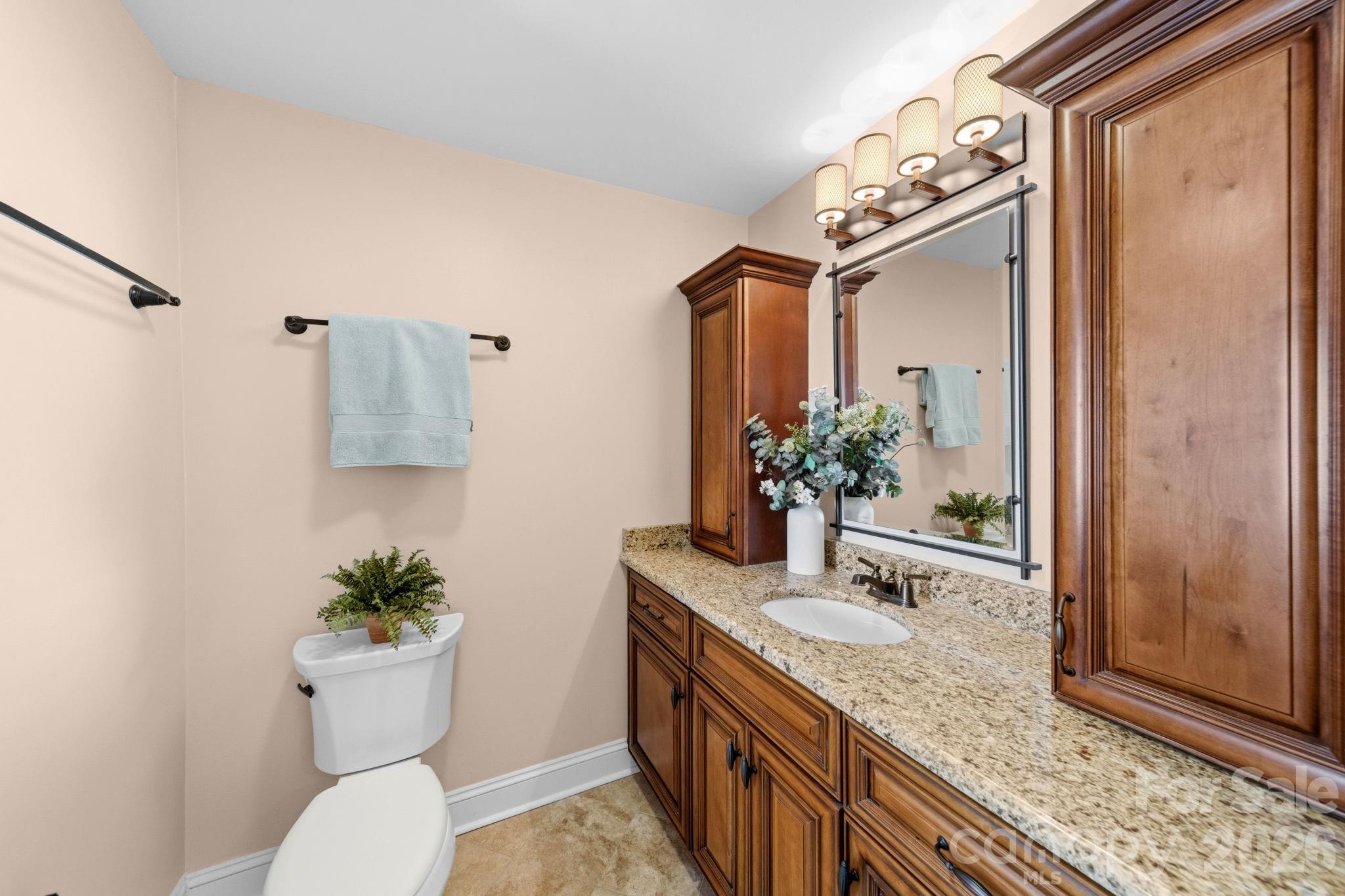 14 King Haigler Chase Court, Clover, SC - photo 17 of 44