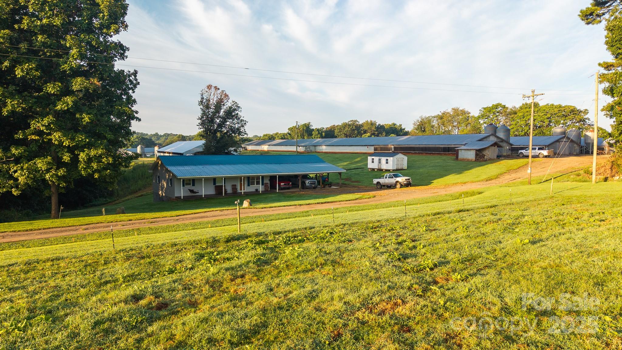 167 Buck Hollow Trail, Ararat, NC - photo 44 of 45