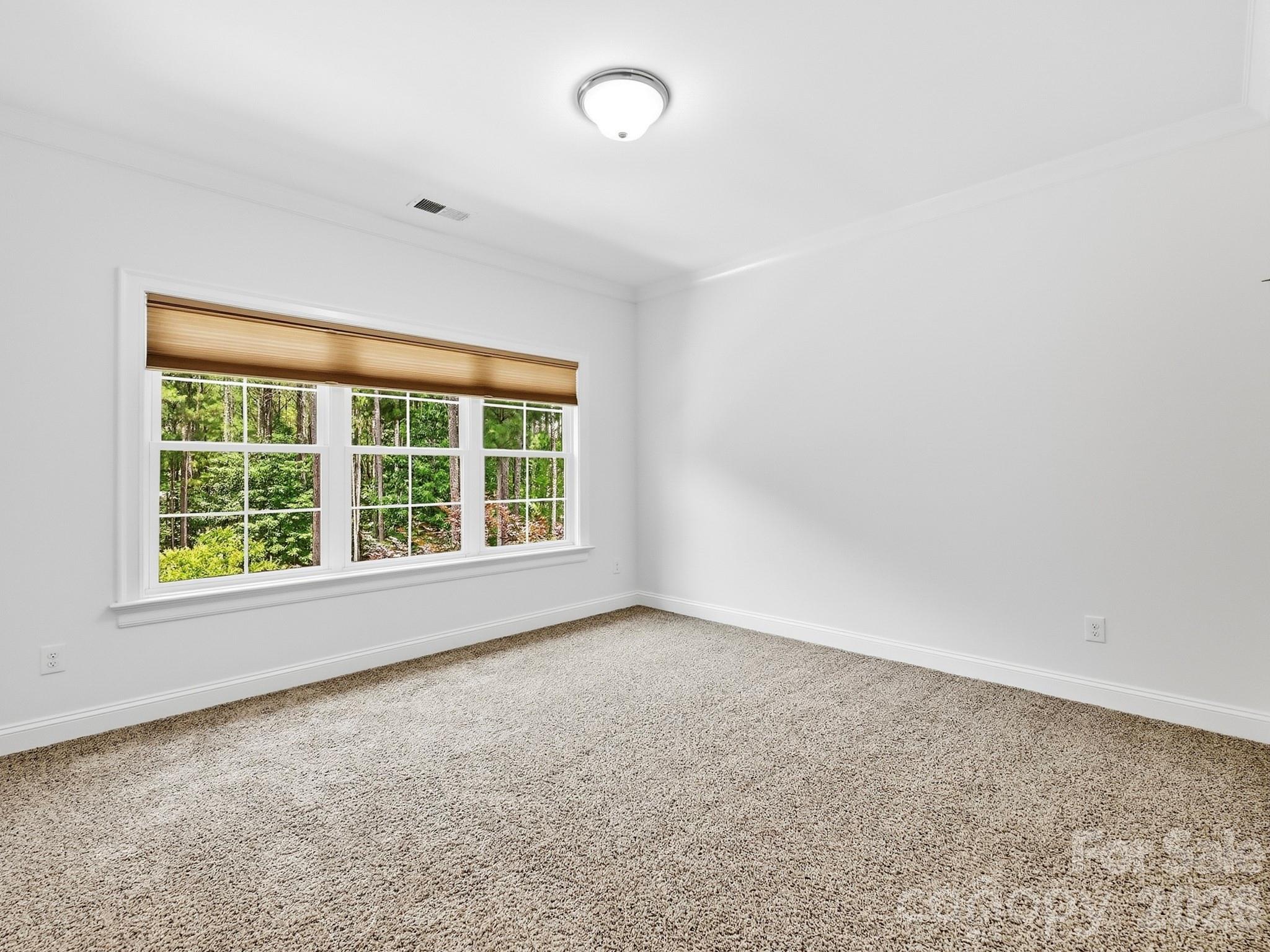 Photo 33 of 4063 Country Overlook Drive, Fort Mill, SC