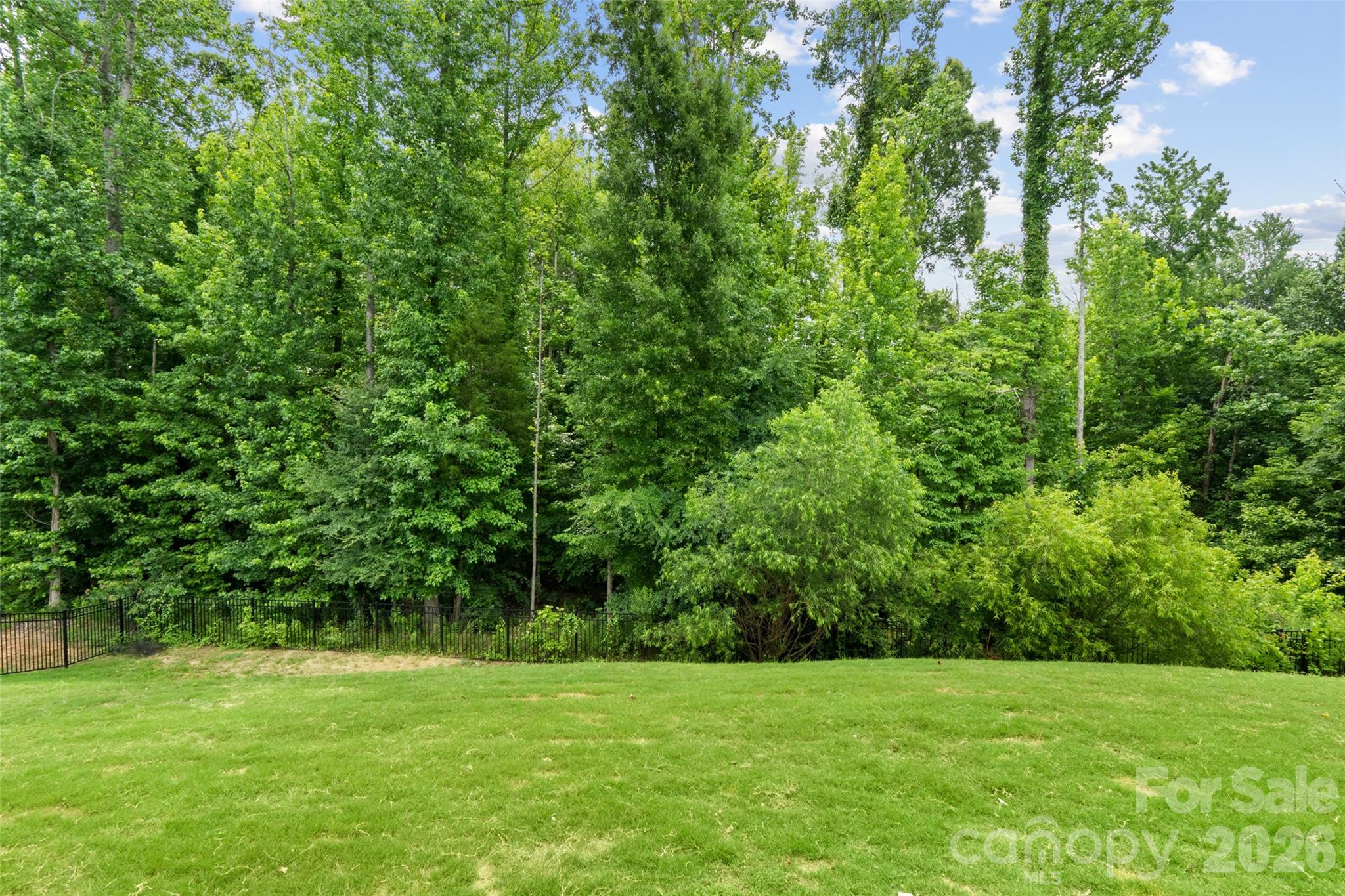 Home for sale at 10397 Paper Birch Drive, Charlotte, NC — photo 43 of 46
