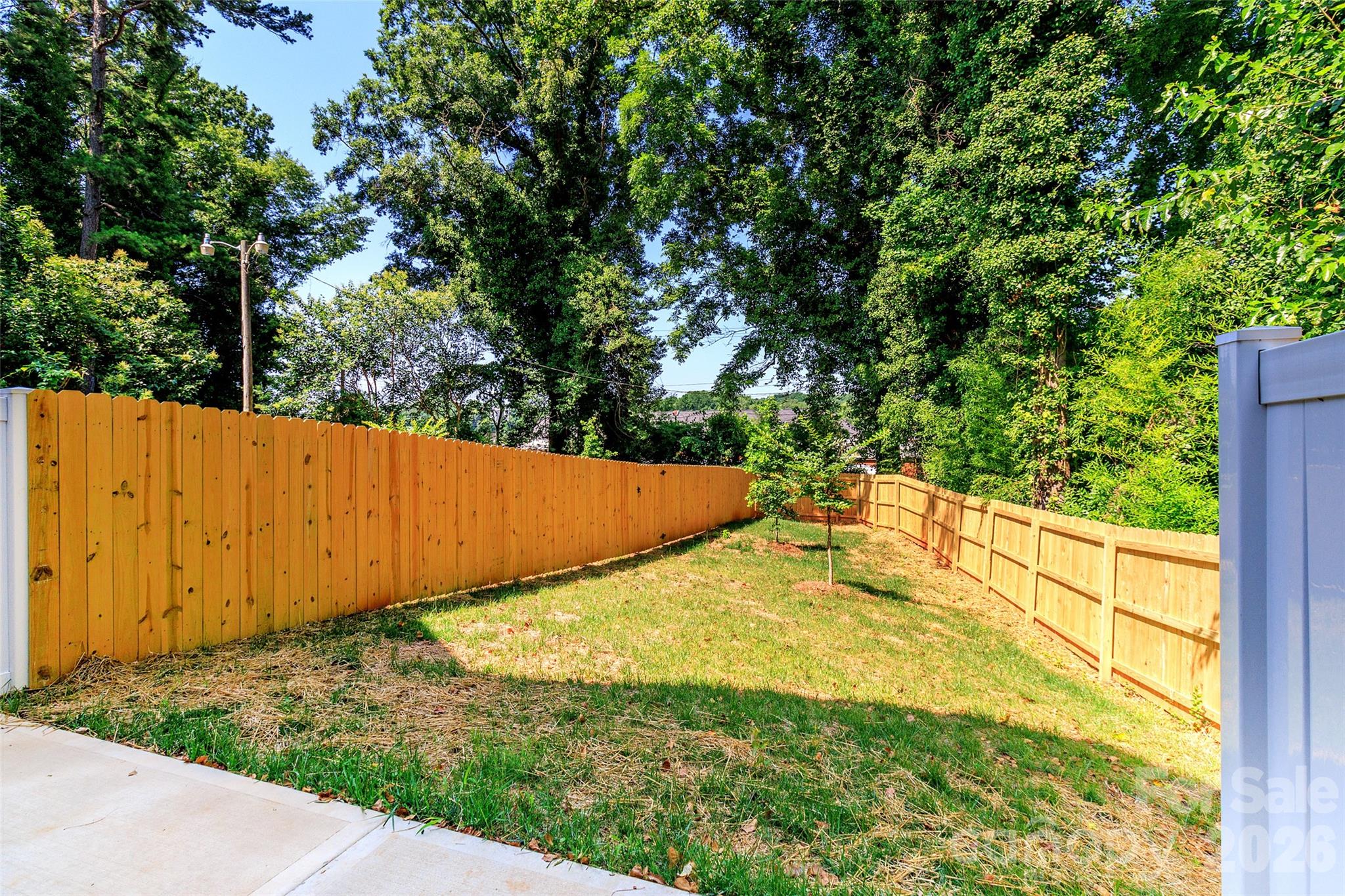 2521 Elon Street, Charlotte, NC - photo 31 of 32