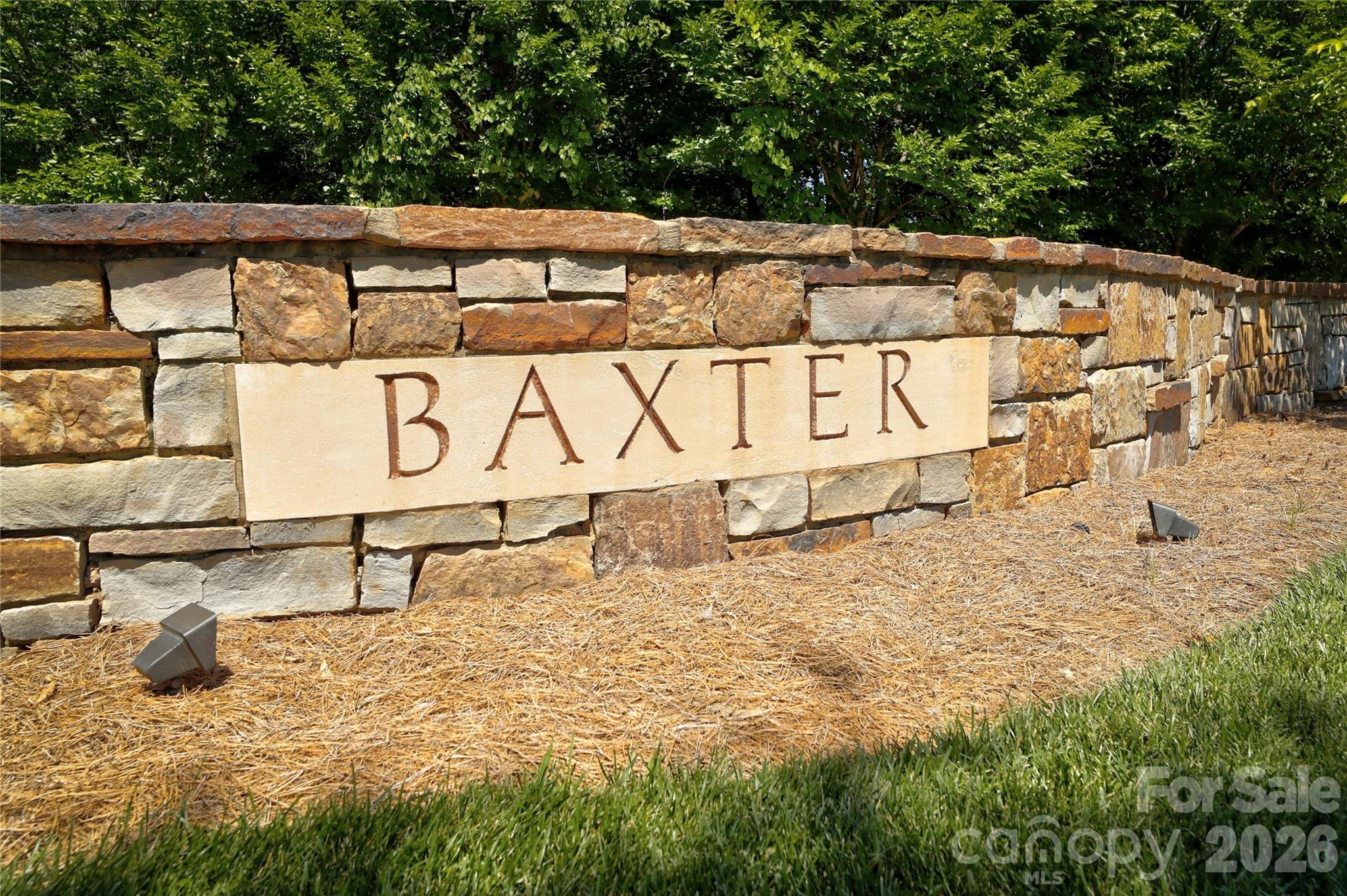 6121 Caseys Side Way, Fort Mill, SC - photo 45 of 49