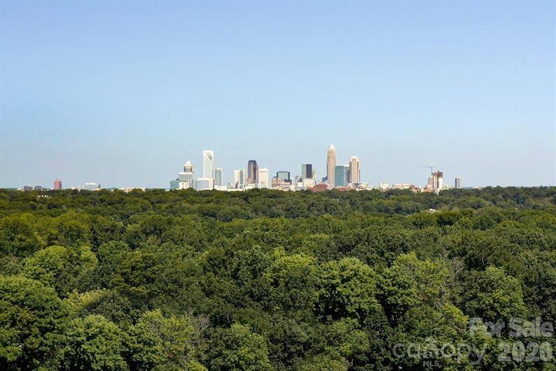 Photo 17 of 6063 Bridle Creek Drive, Charlotte, NC