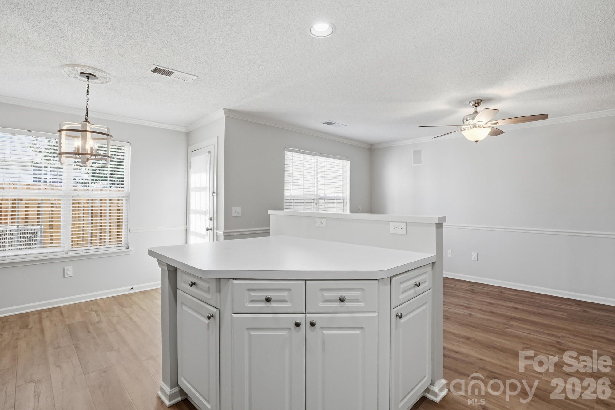 9415 Elizabeth Townes Lane, Charlotte, NC - photo 8 of 44