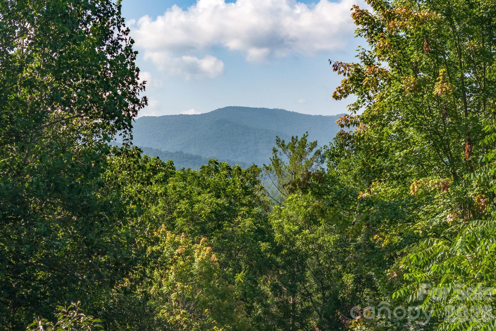 212 Blue Ridge Vista, Asheville, NC - photo 6 of 44