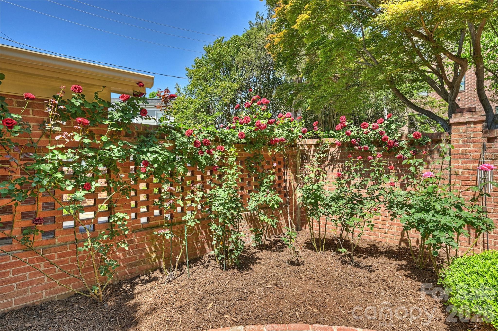 Photo 39 of 2320 Selwyn Avenue, Charlotte, NC