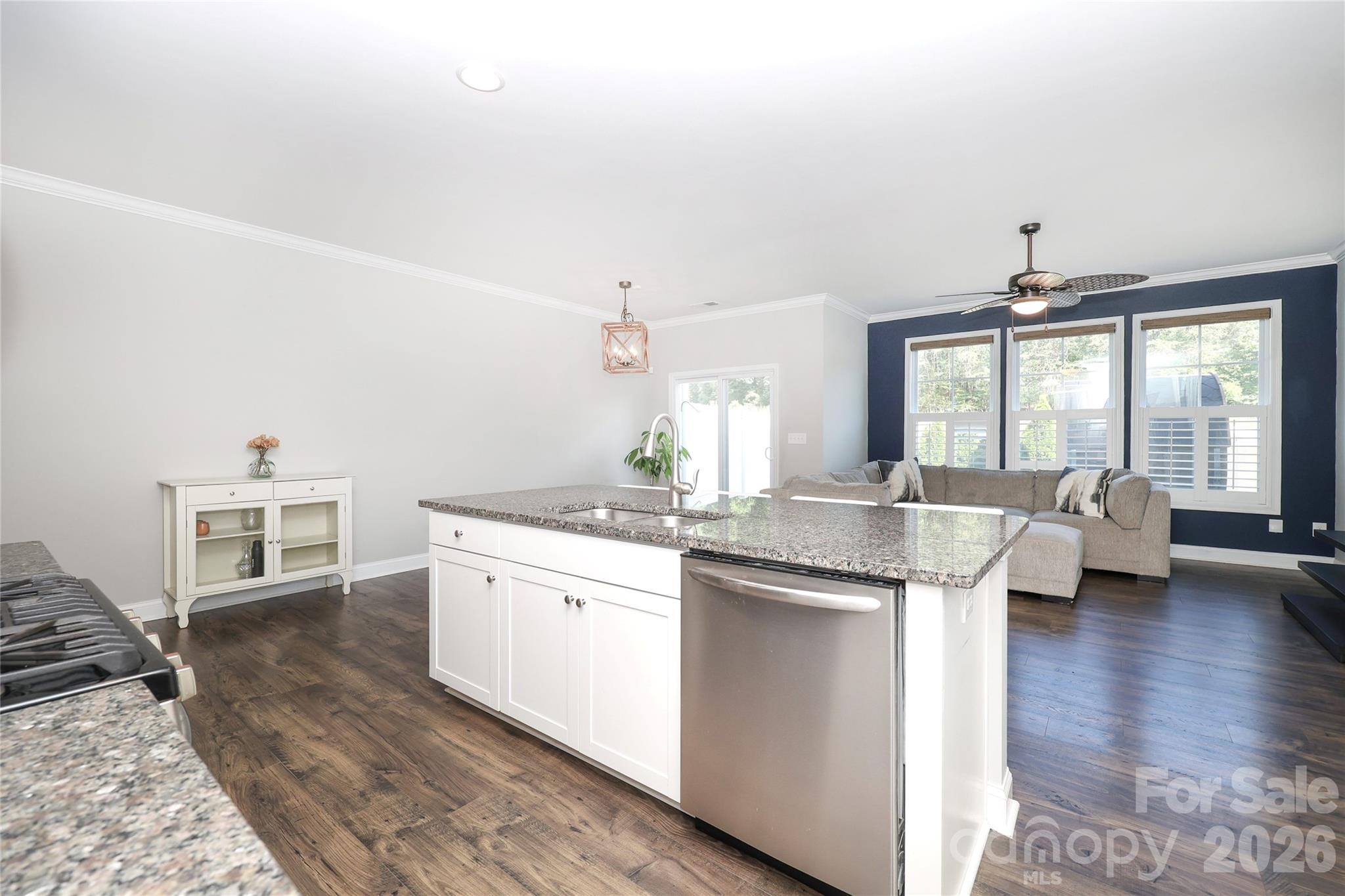 1086 Chicory Trace, Clover, SC - photo 11 of 43
