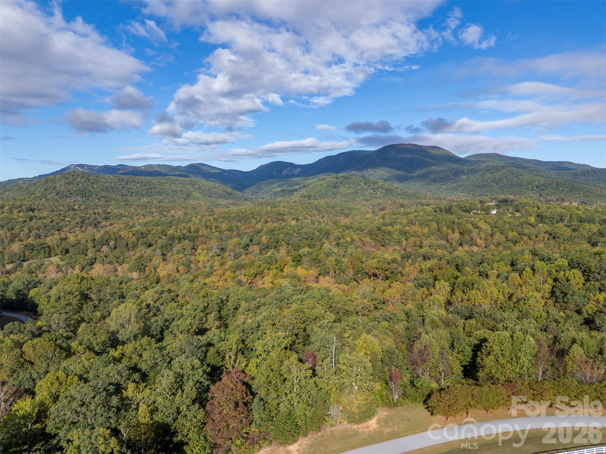 100 Pardo Road, Landrum, SC - photo 3 of 21