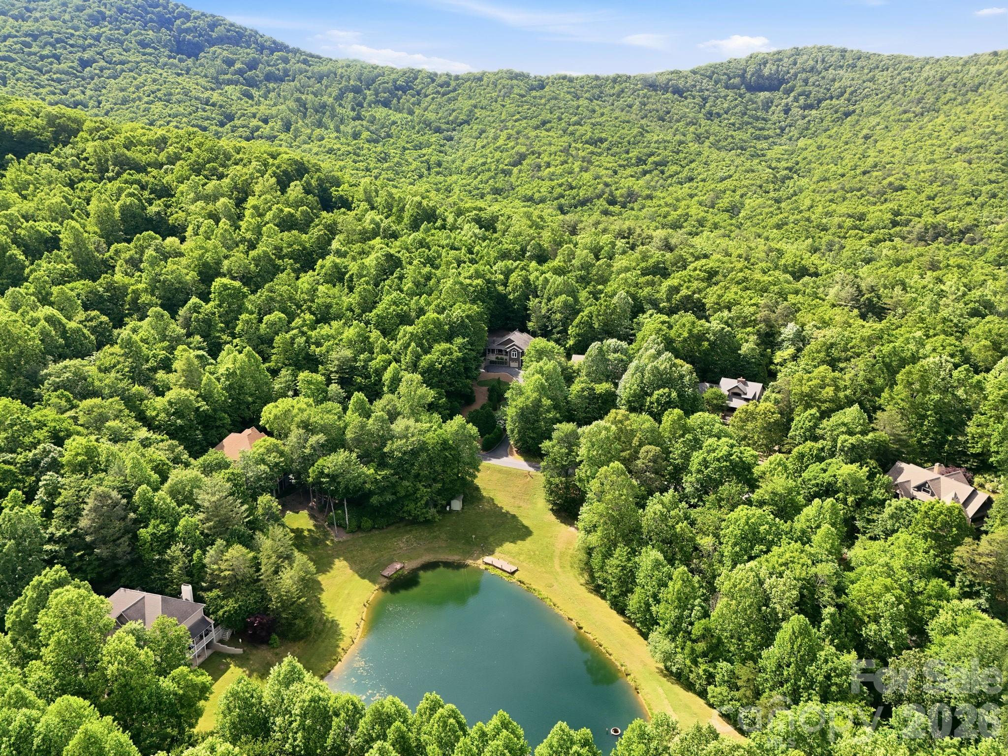 43 Smokemont Drive, Arden, NC - photo 47 of 49