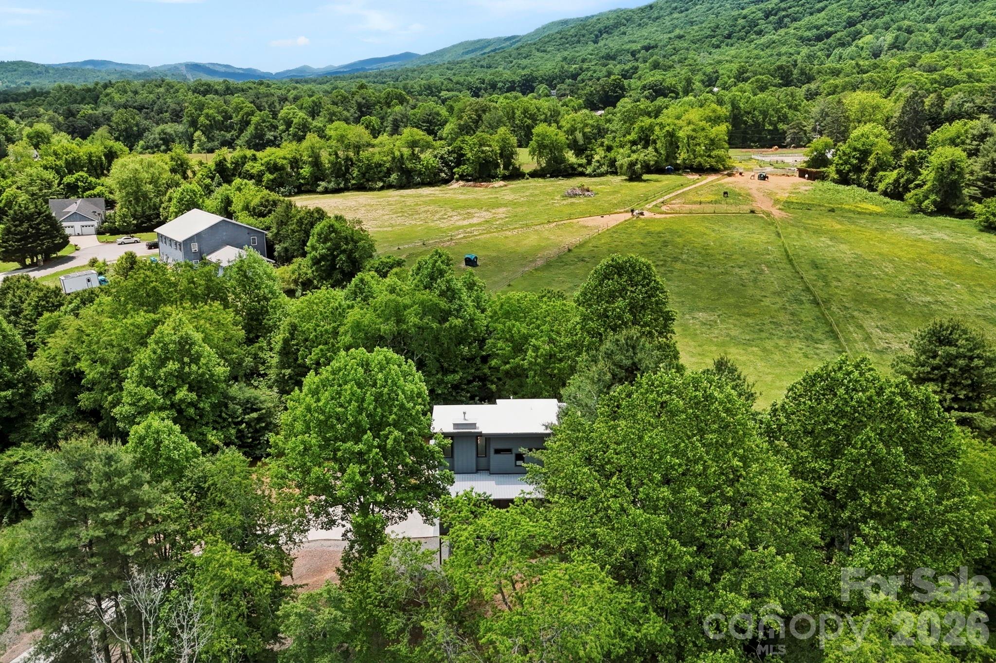 22 Lara Drive, Mills River, NC - photo 8 of 39