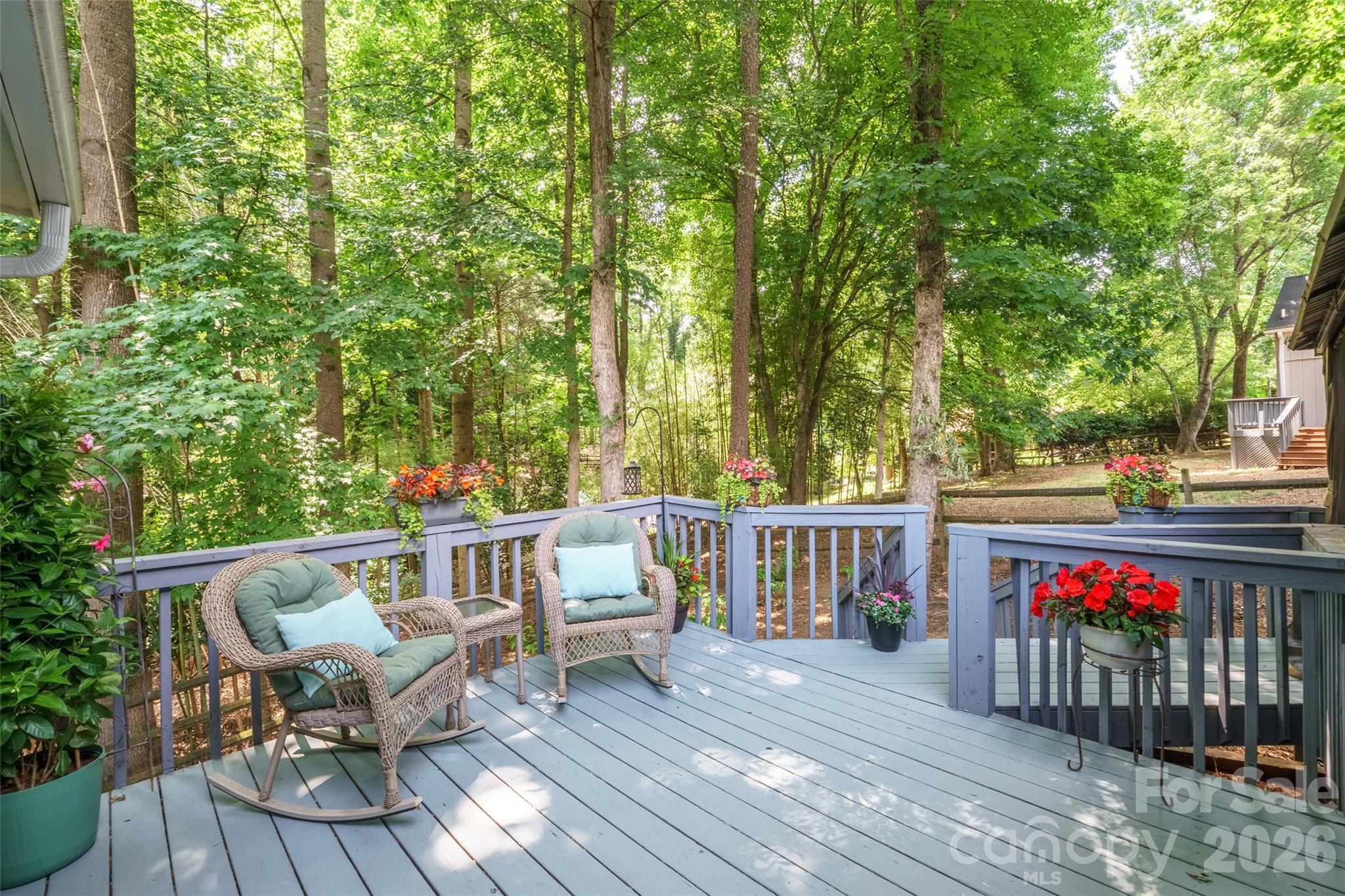 19017 Kailua Circle, Tega Cay, SC - photo 39 of 47