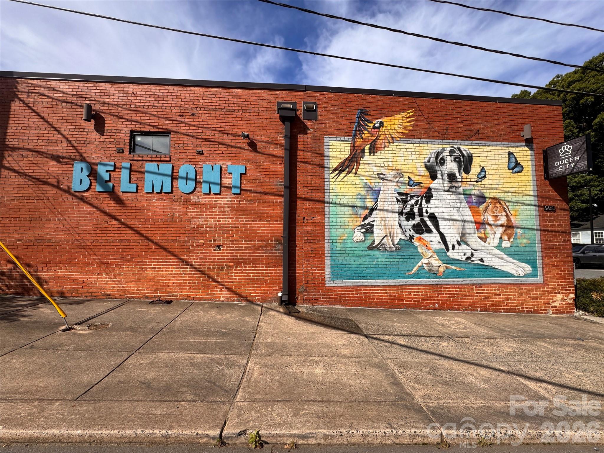 1017 Pegram Street, Charlotte, NC - photo 20 of 26