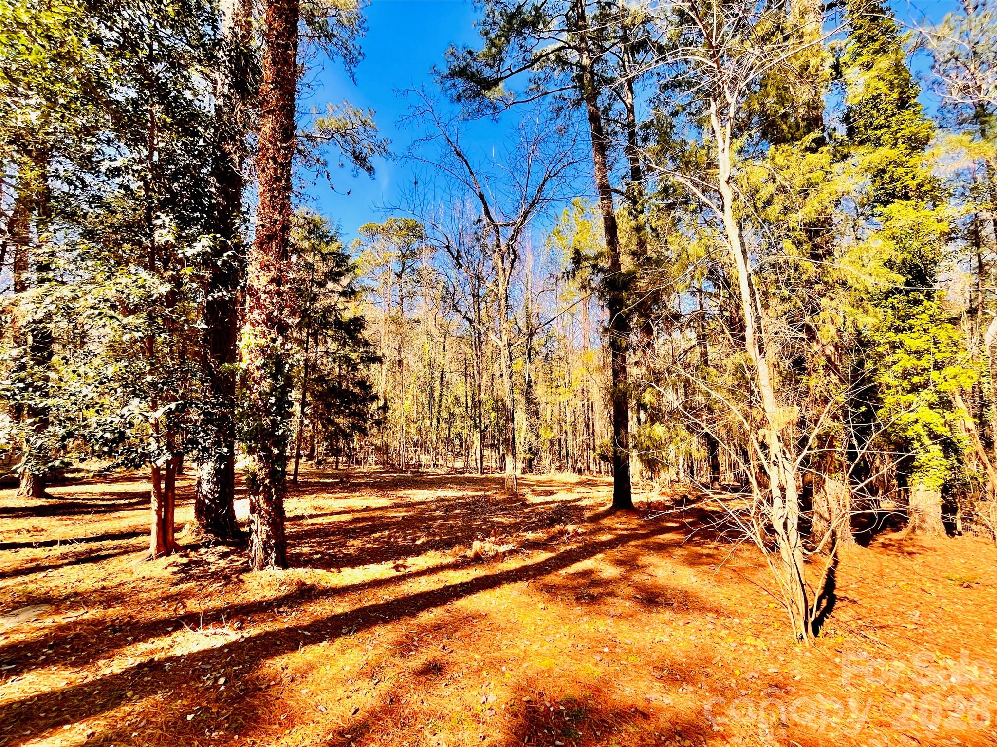 1301 Winterwood Road, Columbia, SC - photo 44 of 47