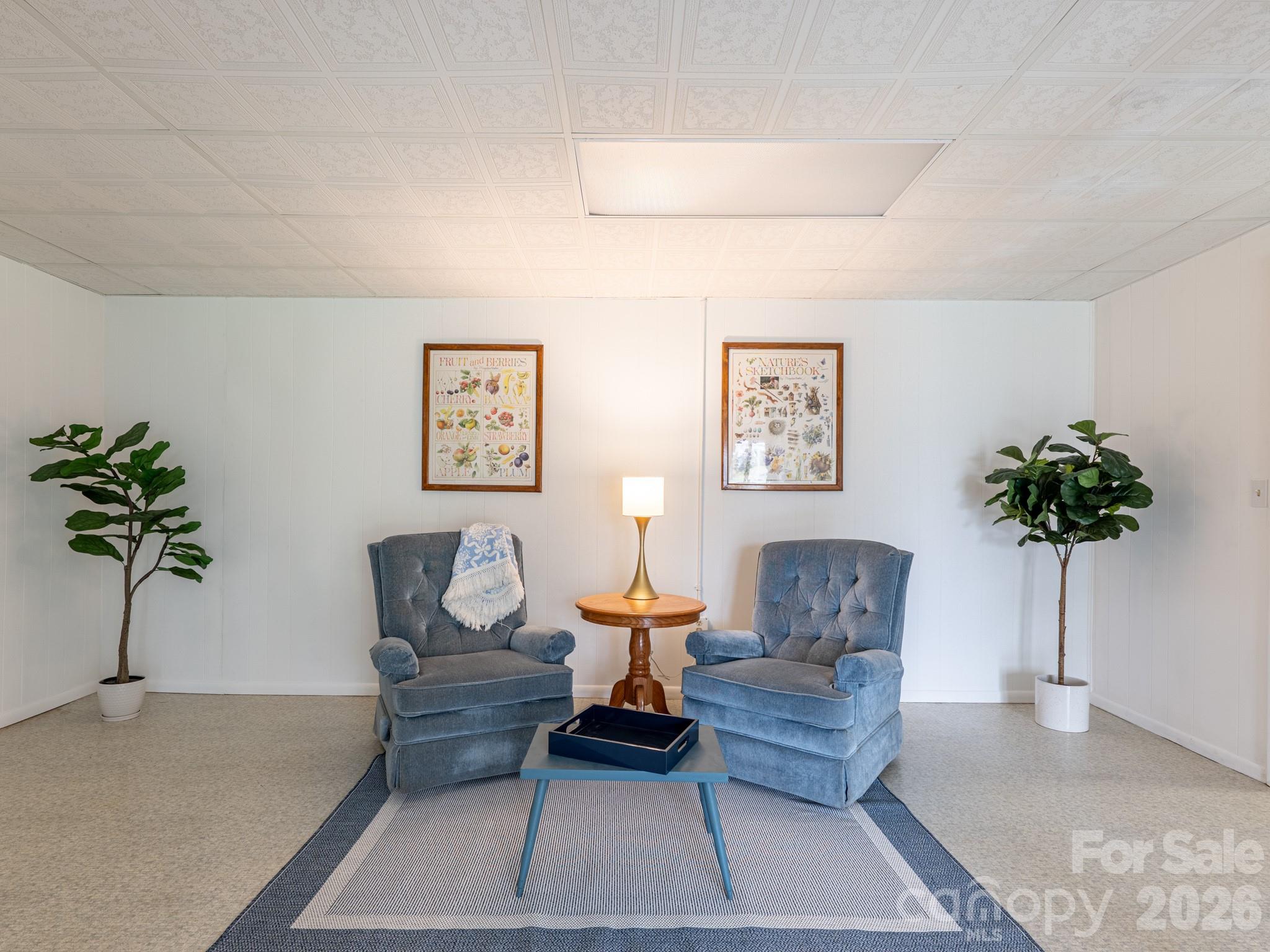 56 Skyview Terrace, Asheville, NC - photo 30 of 49