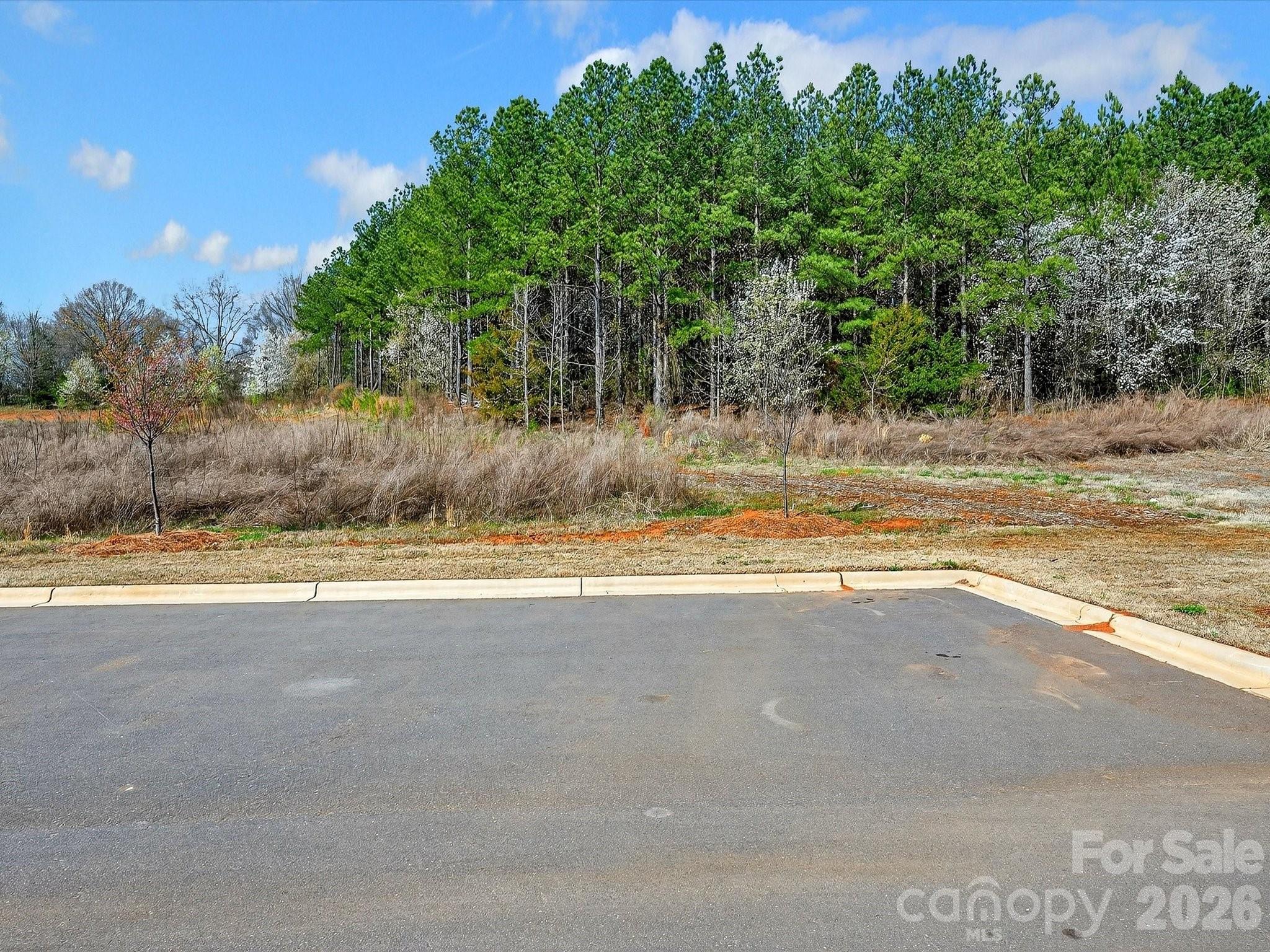 Photo 32 of 15748 Country House Street, Charlotte, NC