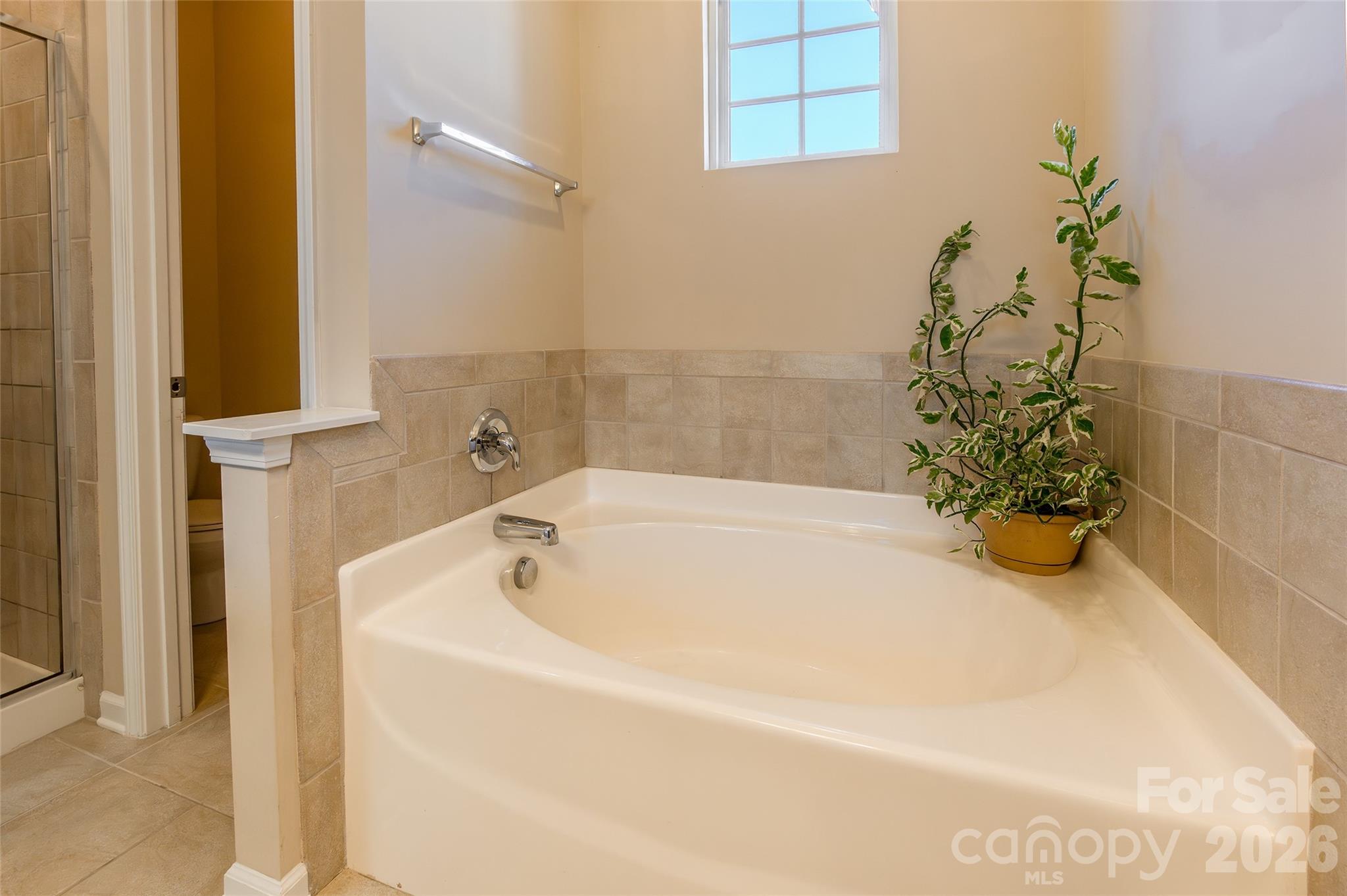 555 Pine Links Drive, Tega Cay, SC - photo 21 of 37