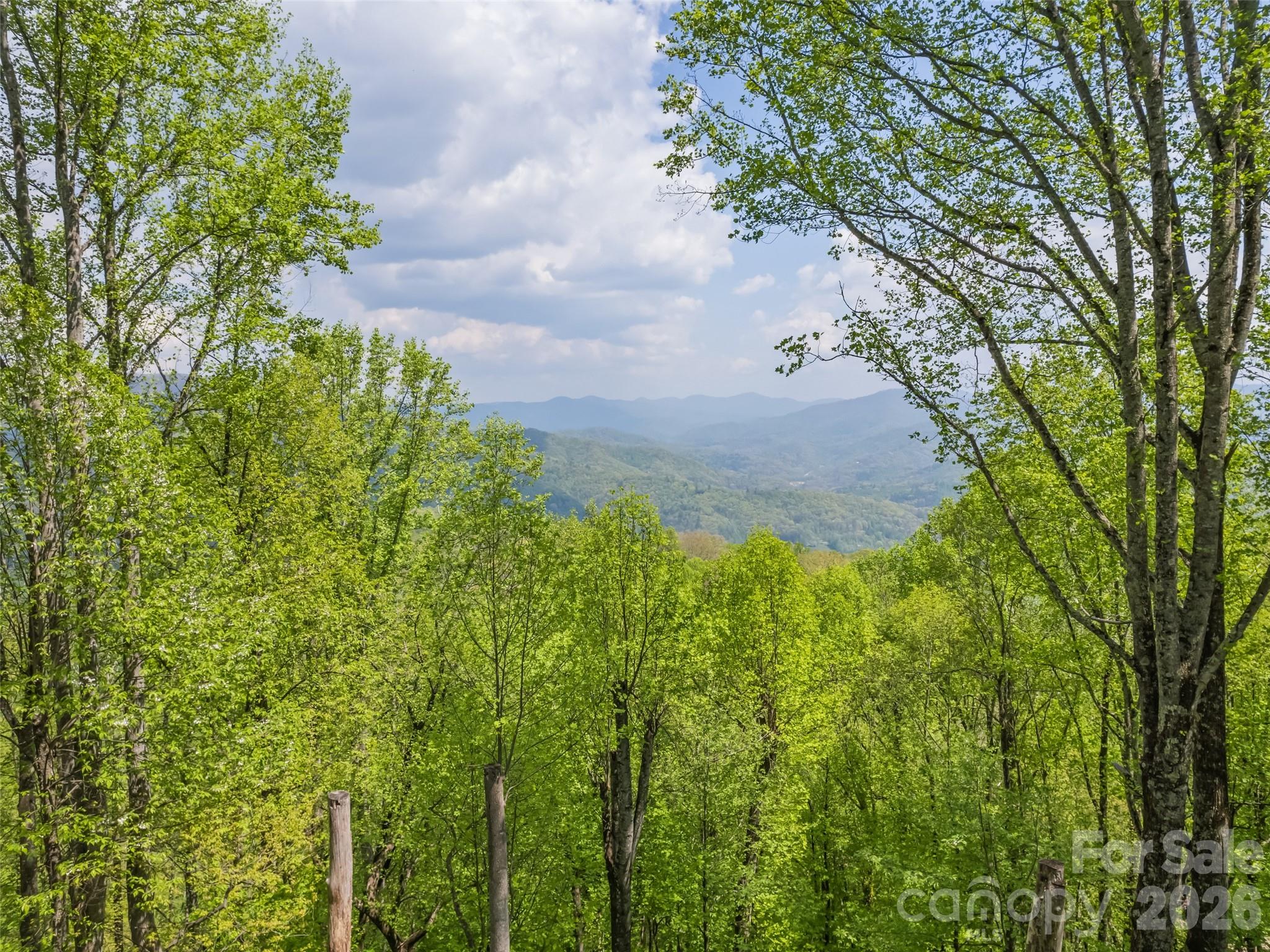 2863 Heath Peak Road, Waynesville, NC - photo 10 of 49