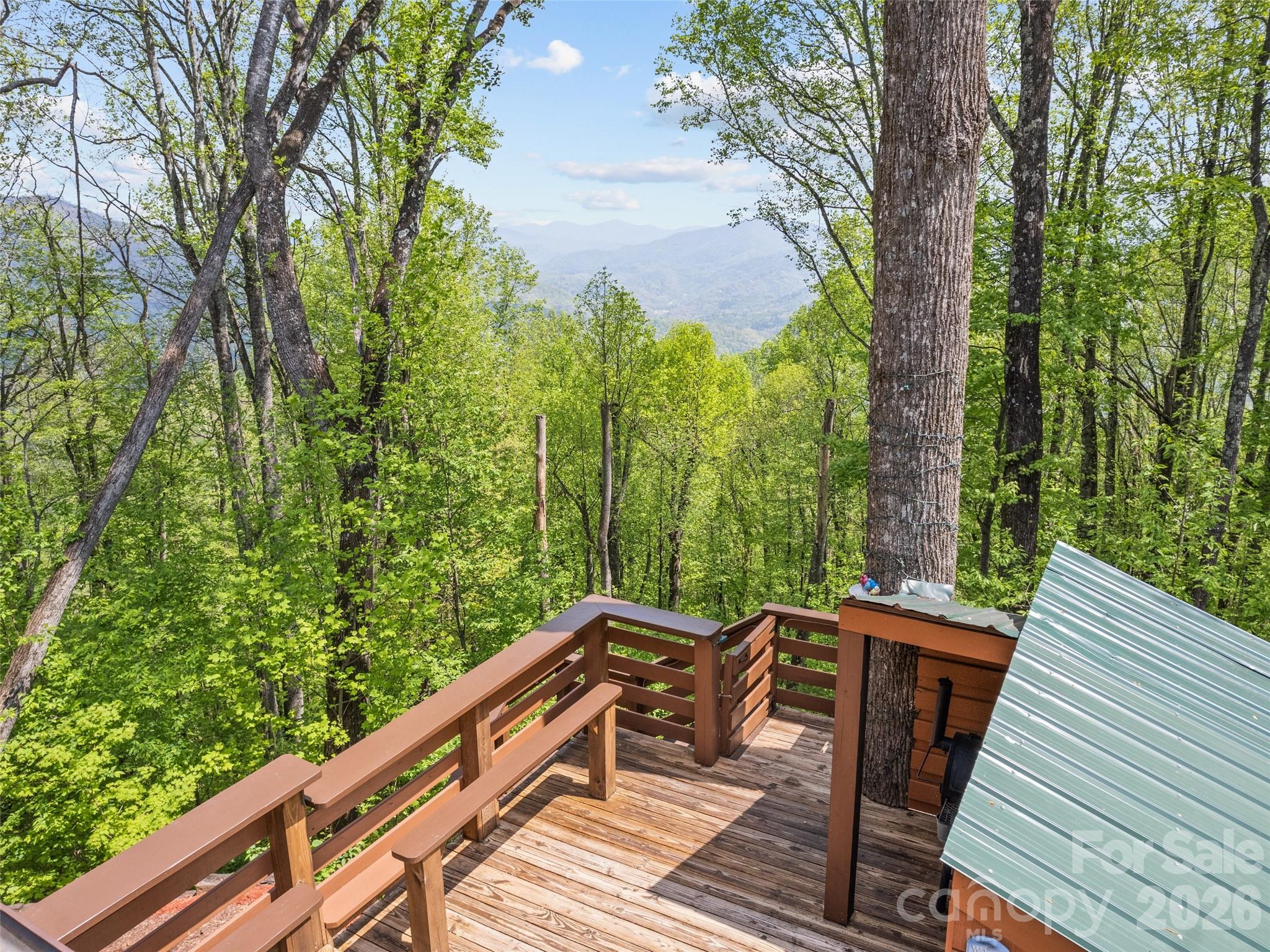 2863 Heath Peak Road, Waynesville, NC - photo 11 of 49