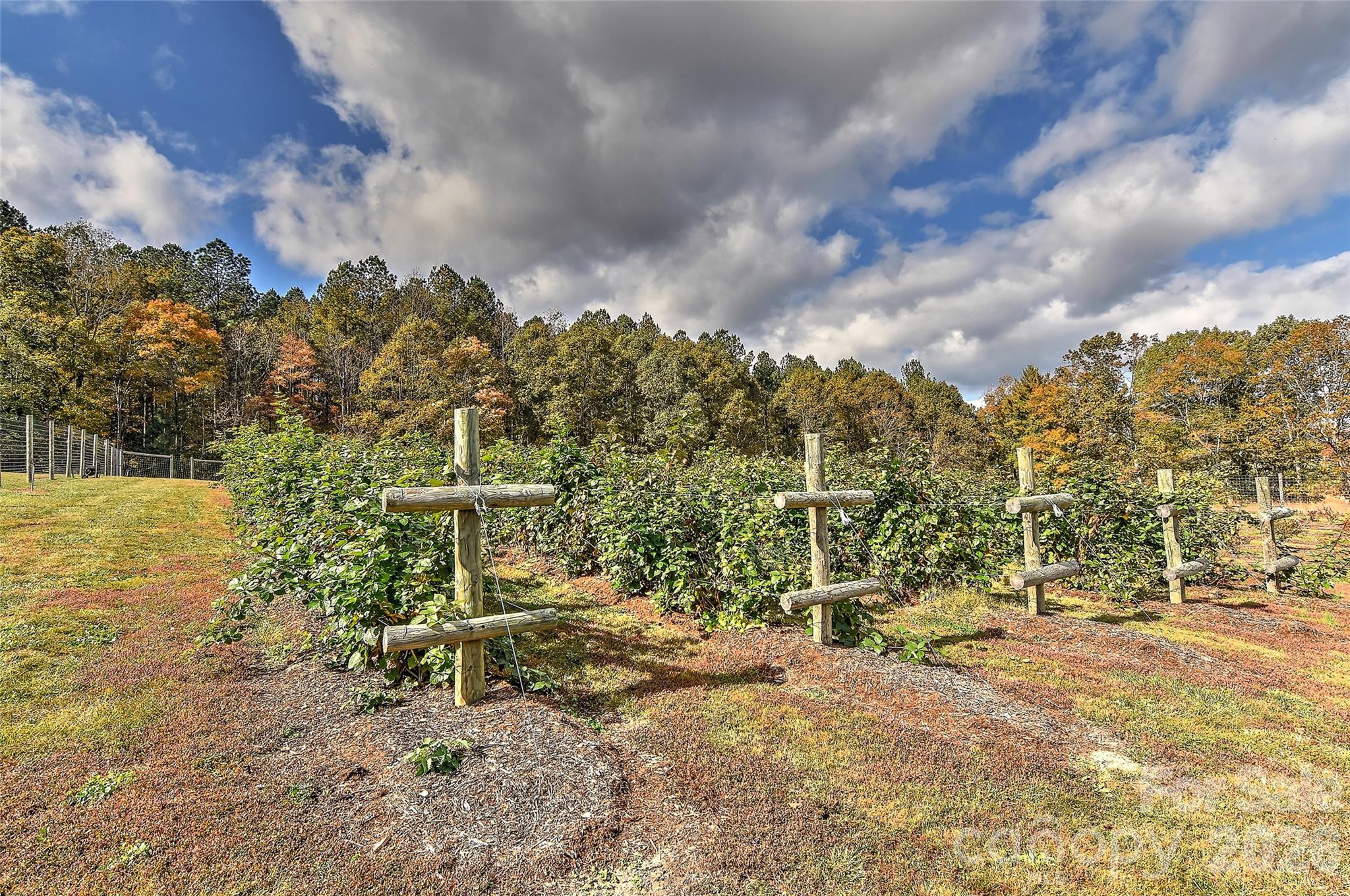 153 Badenyon Place, Union Grove, NC - photo 34 of 49