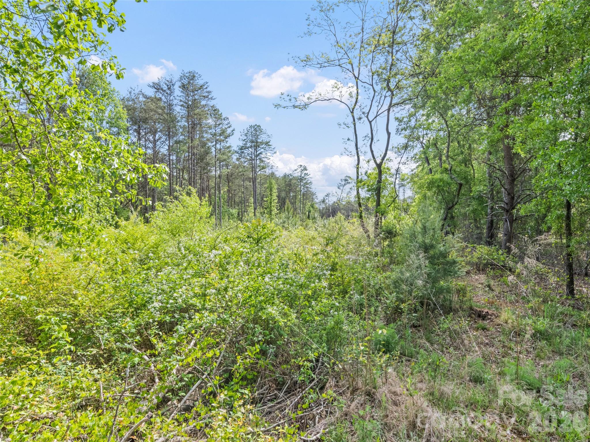 311 Soco Gap Road, Ellenboro, NC - photo 15 of 25