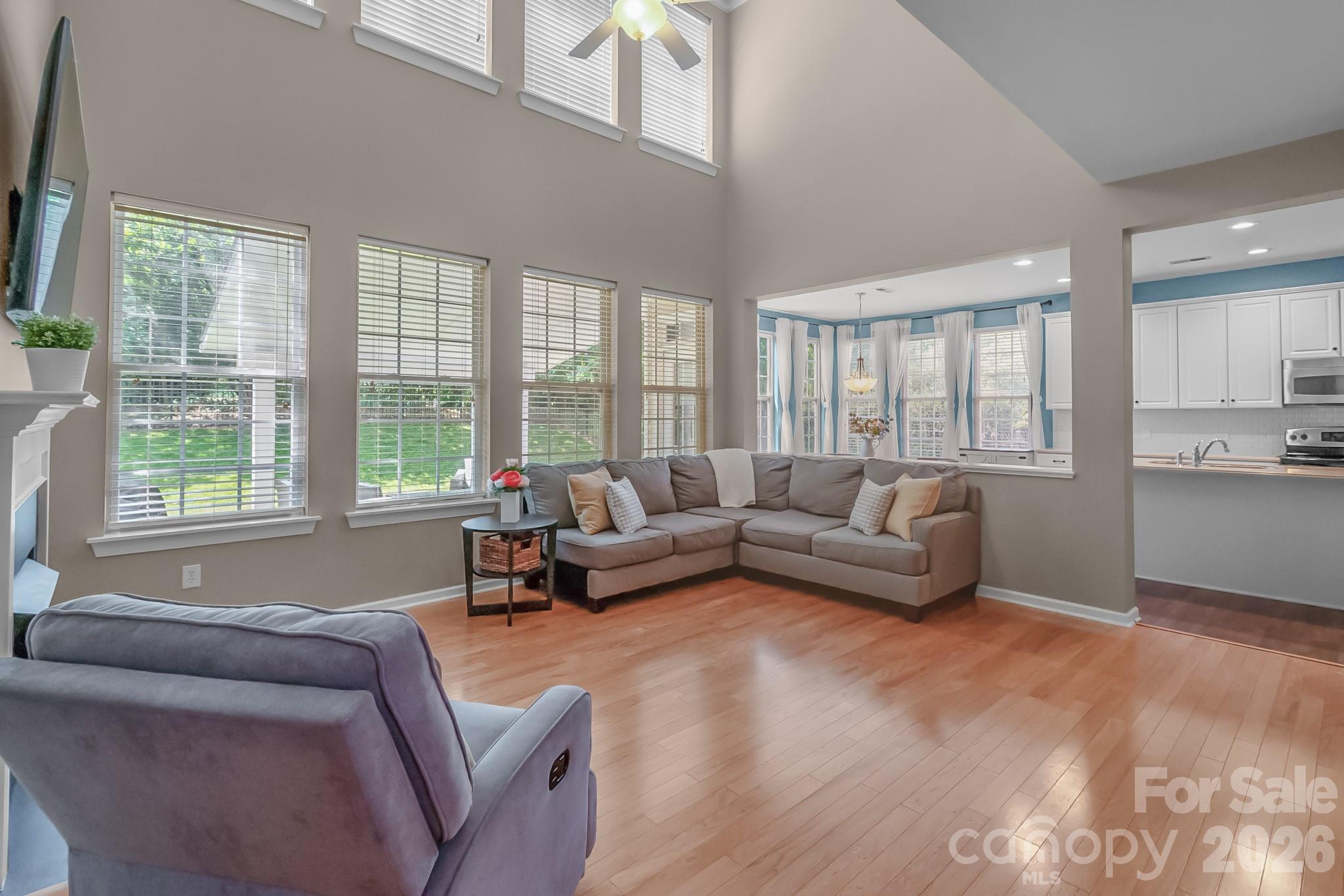 10507 Bere Island Drive, Charlotte, NC - photo 9 of 43