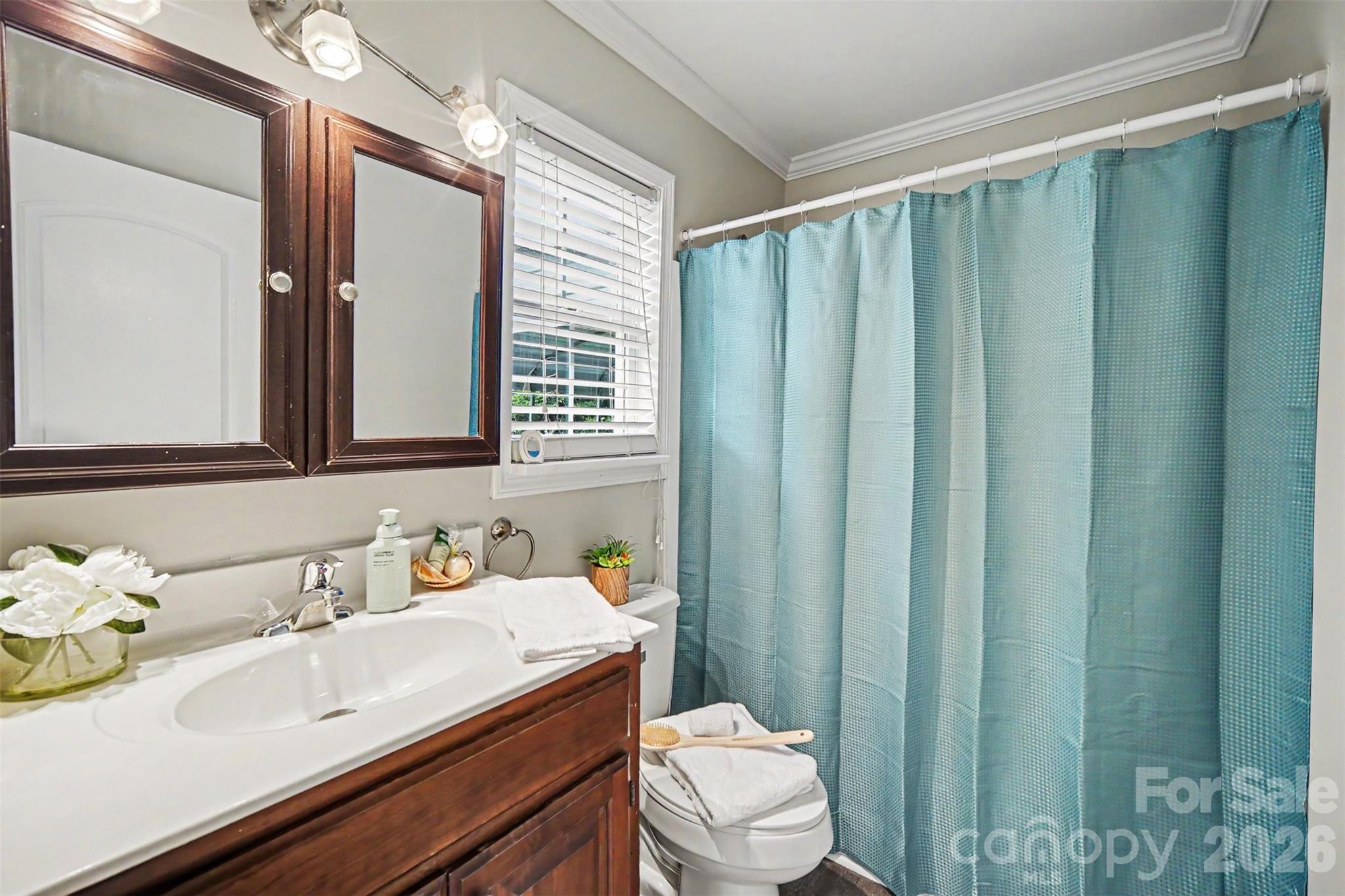 313 Oakland Avenue, Belmont, NC - photo 18 of 28