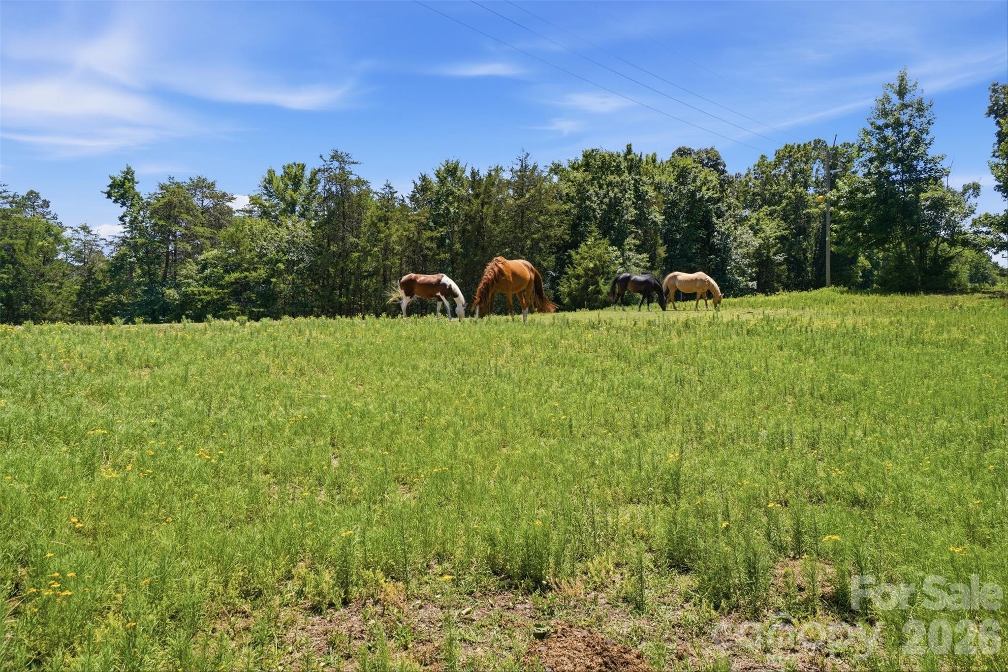 Photo 14 of 5835 Kreps Road, Clover, SC