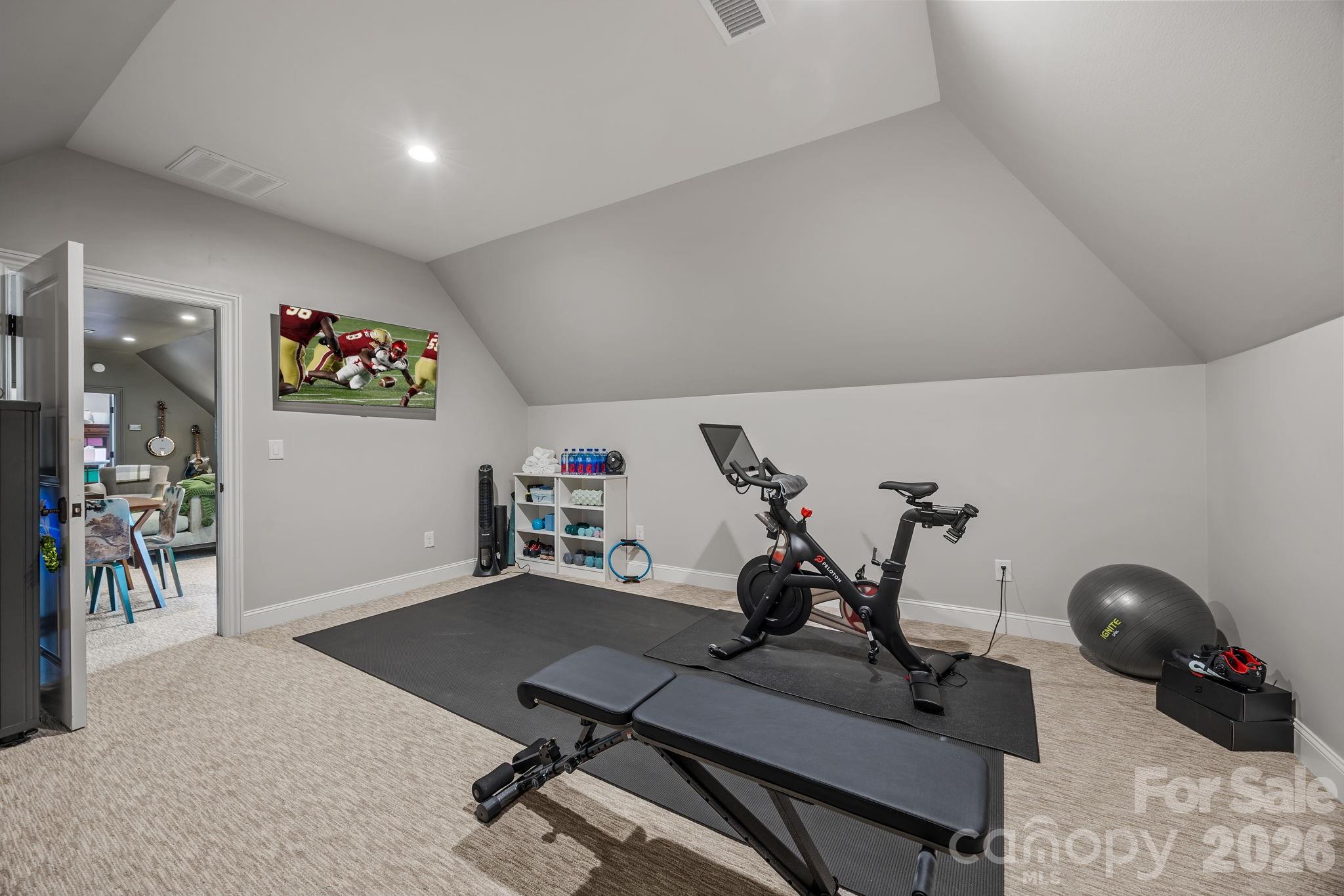 18710 Peninsula Cove Lane, Cornelius, NC - photo 38 of 49