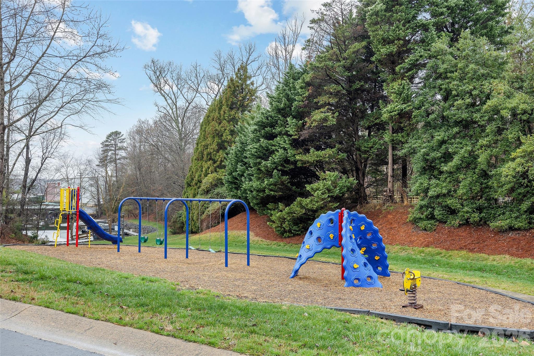 Photo 26 of 14339 Crown Harbor Drive, Charlotte, NC