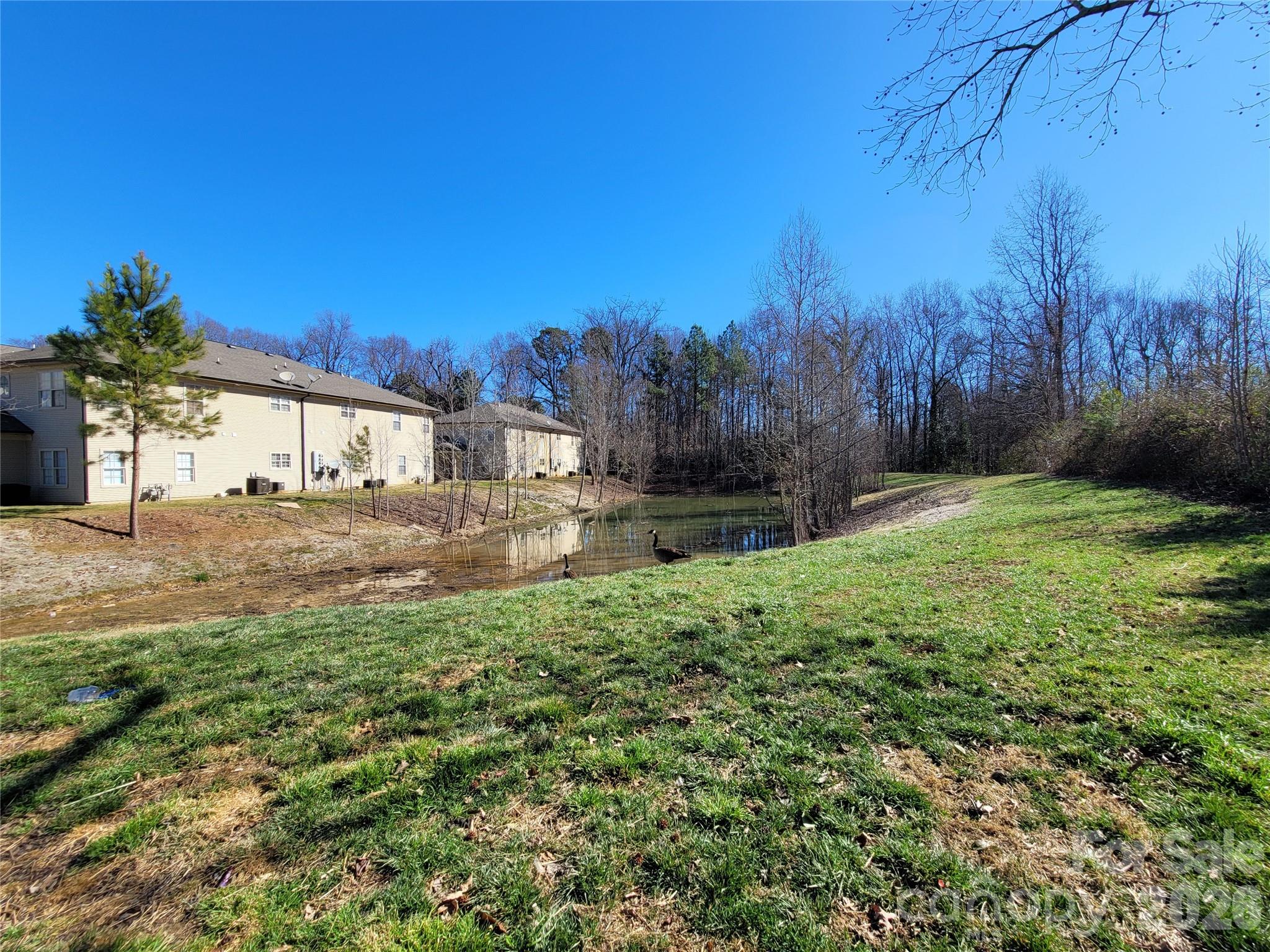 Photo 16 of 6525 Quarterbridge Lane, Charlotte, NC