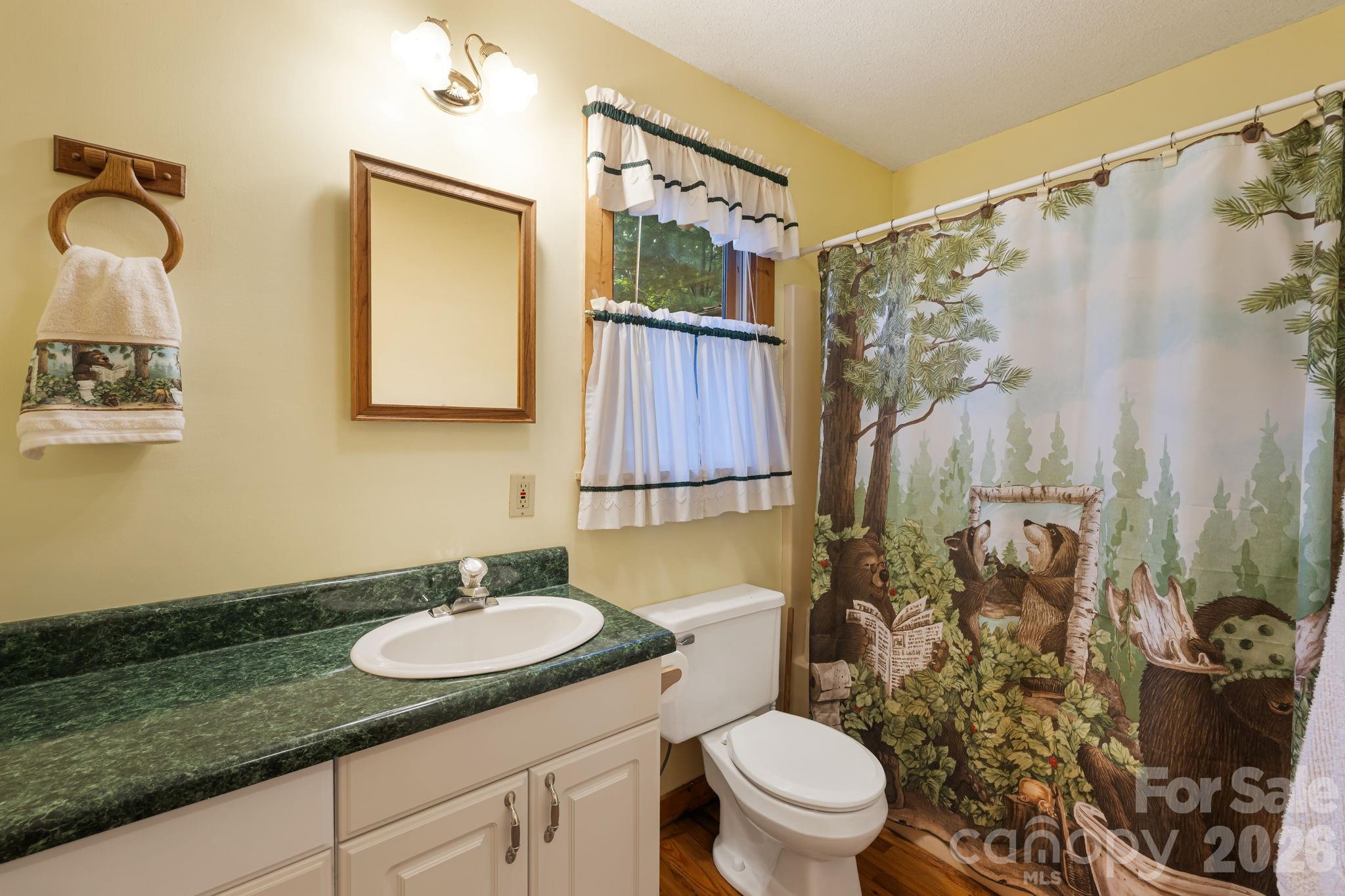 180 Grace Way, Green Mountain, NC - photo 17 of 42