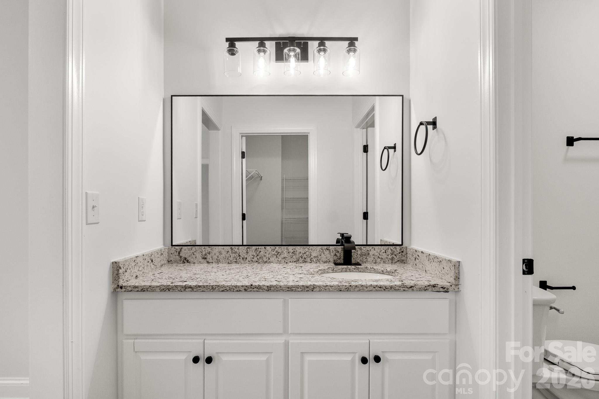 3929 Jasmine Lane, Denver, NC - photo 37 of 44