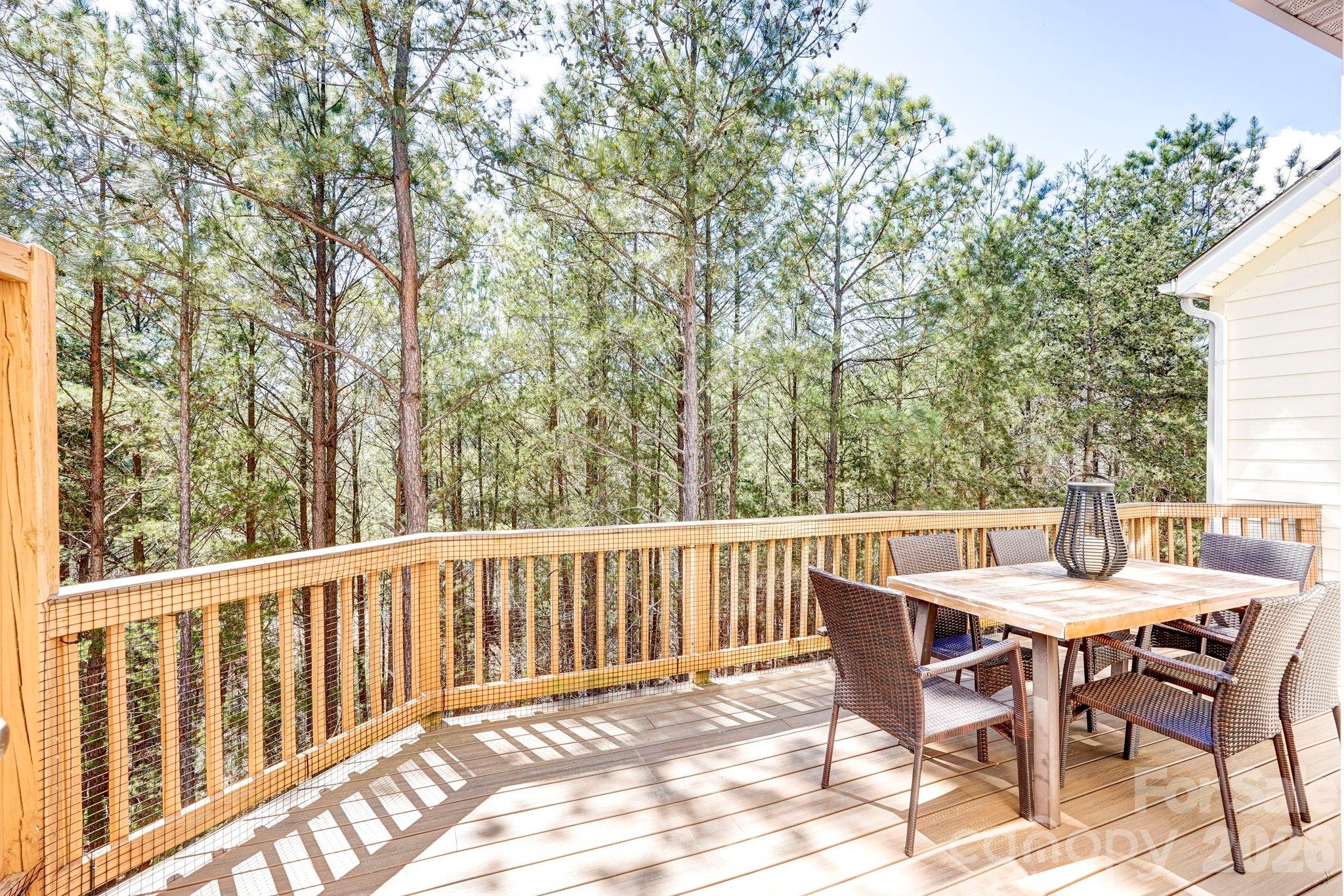 627 Sunfish Lane, Tega Cay, SC - photo 22 of 43