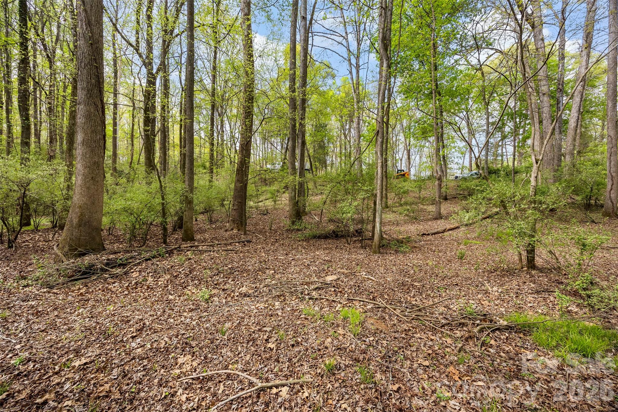10601 Wildlife Road, Charlotte, NC - photo 10 of 30