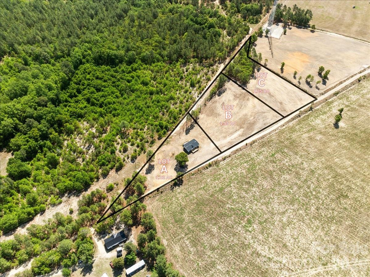 300 Bailey Sawmill Road, Ruby, SC - photo 4 of 49