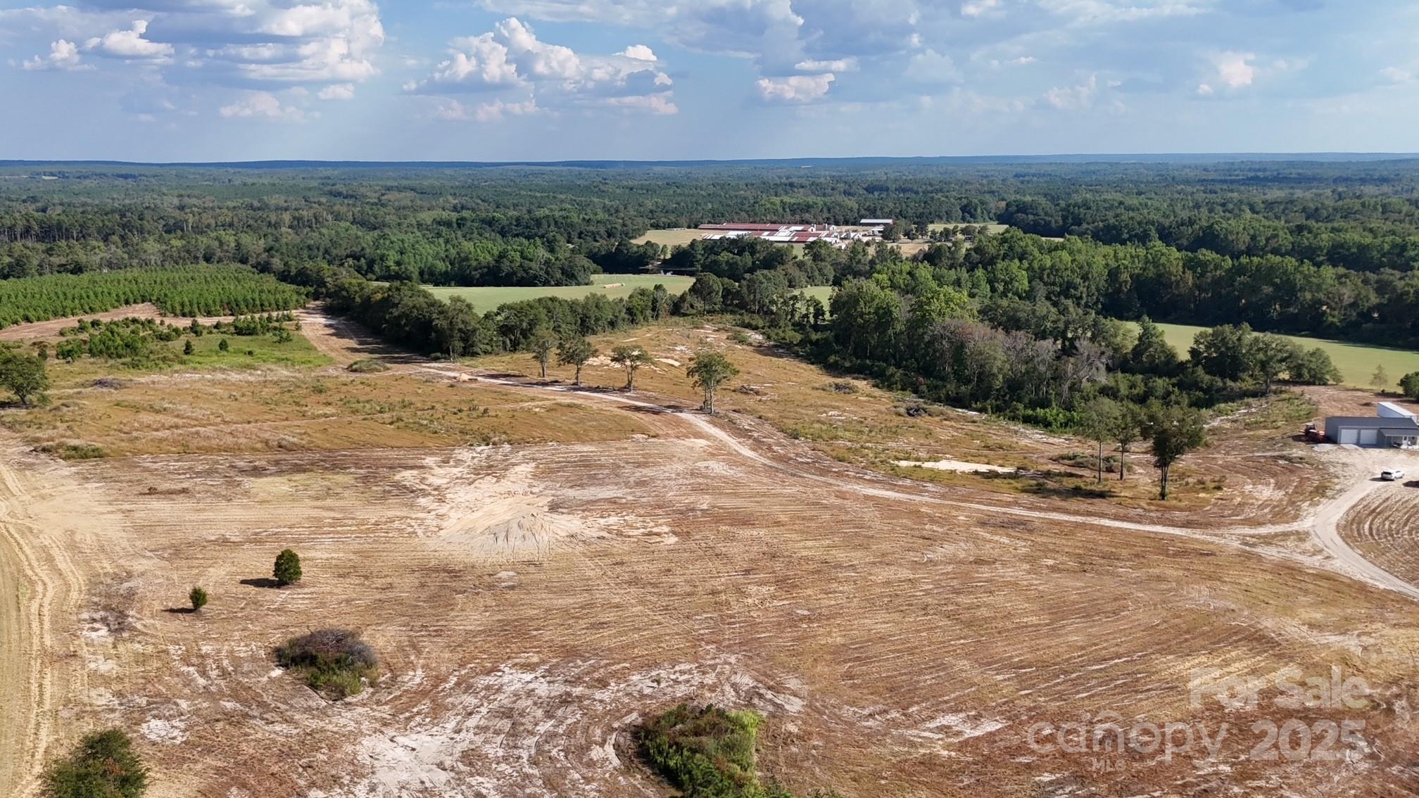891 Long Branch Church Road, Jefferson, SC - photo 5 of 23