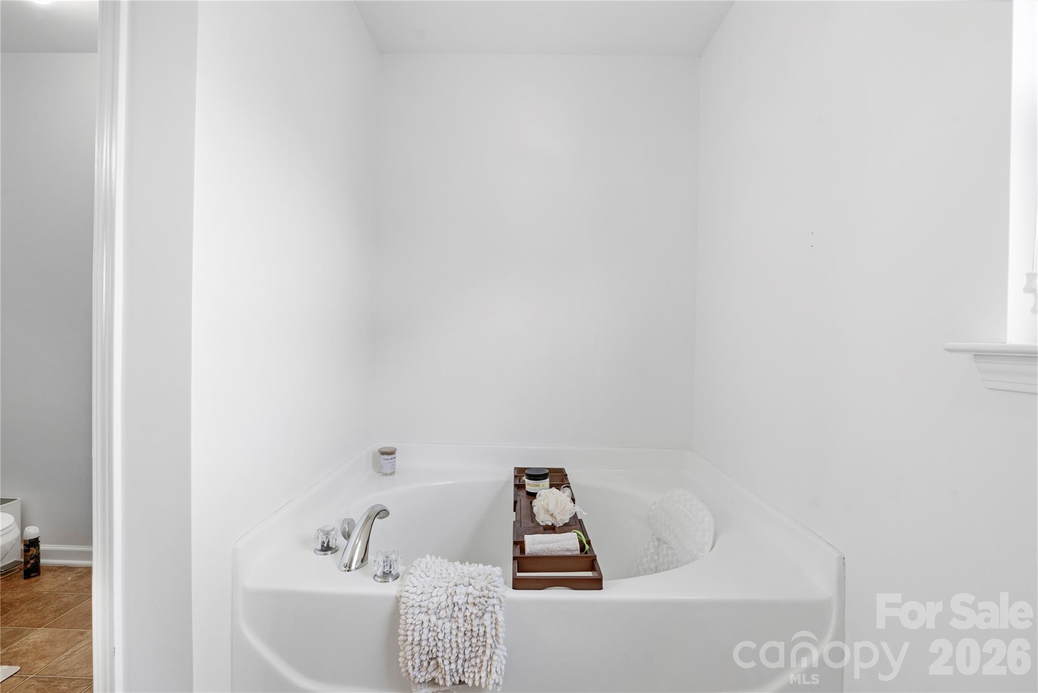 3041 Kilbeggan Drive, Lake Wylie, SC - photo 24 of 40