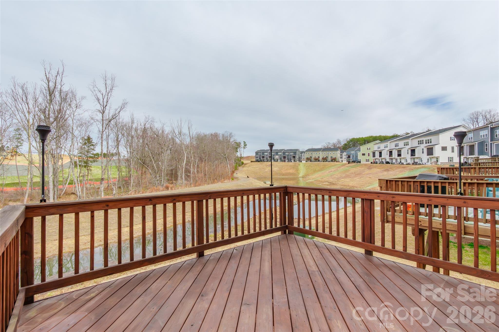 411 Lahinch Drive, Tega Cay, SC - photo 28 of 36