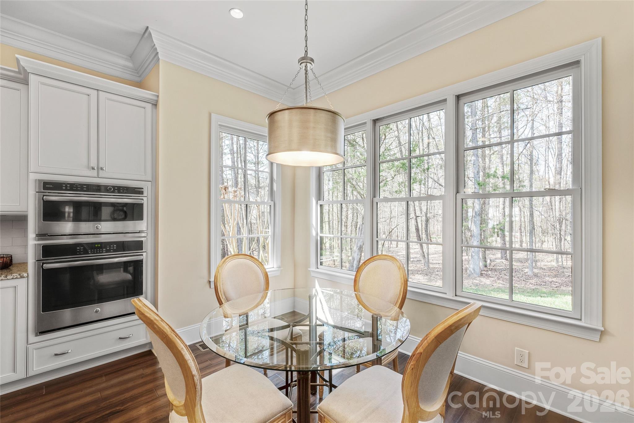 4113 Piaffe Avenue, Mint Hill, NC - photo 10 of 47