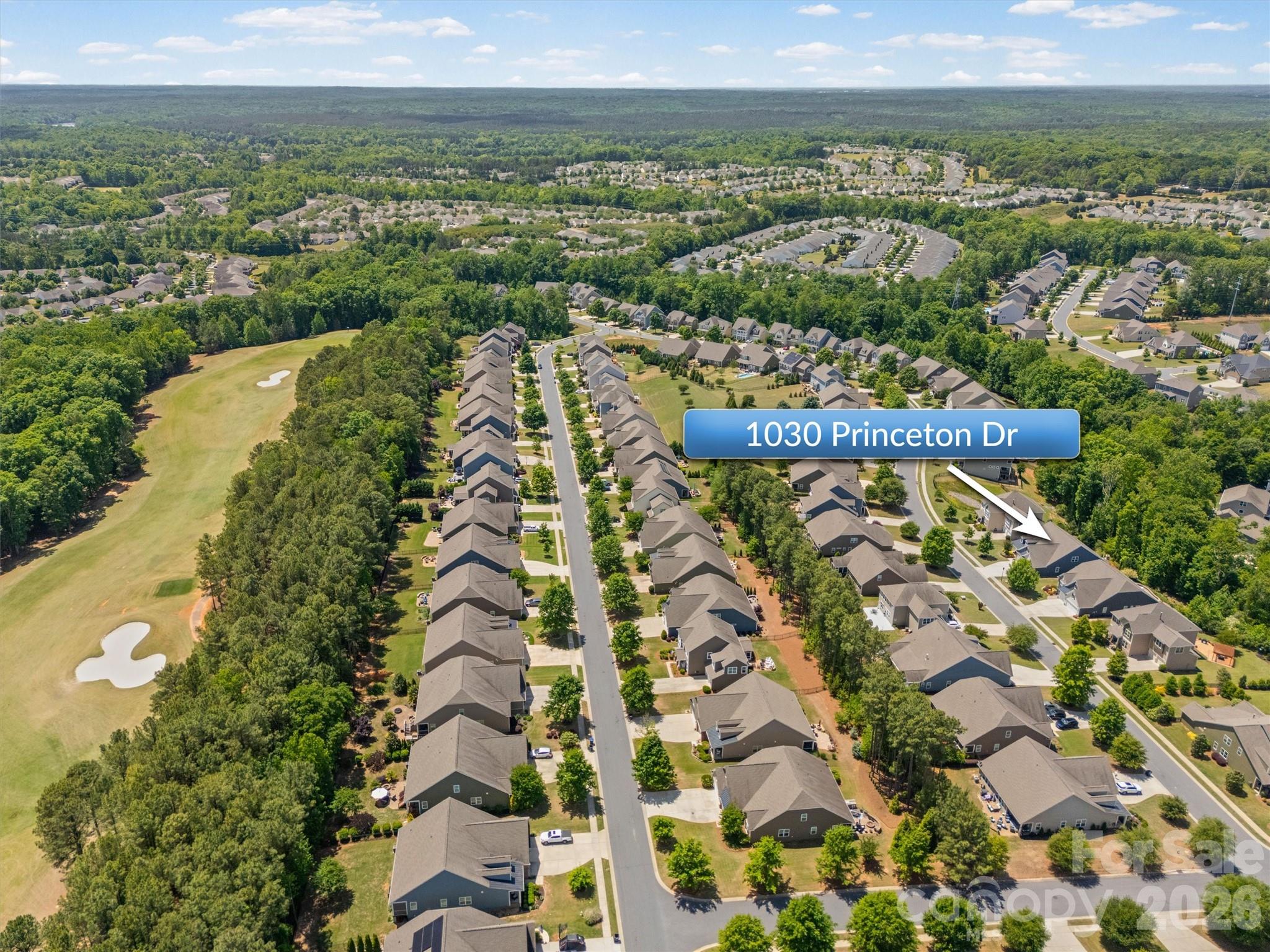 1030 Princeton Drive, Indian Land, SC - photo 44 of 49