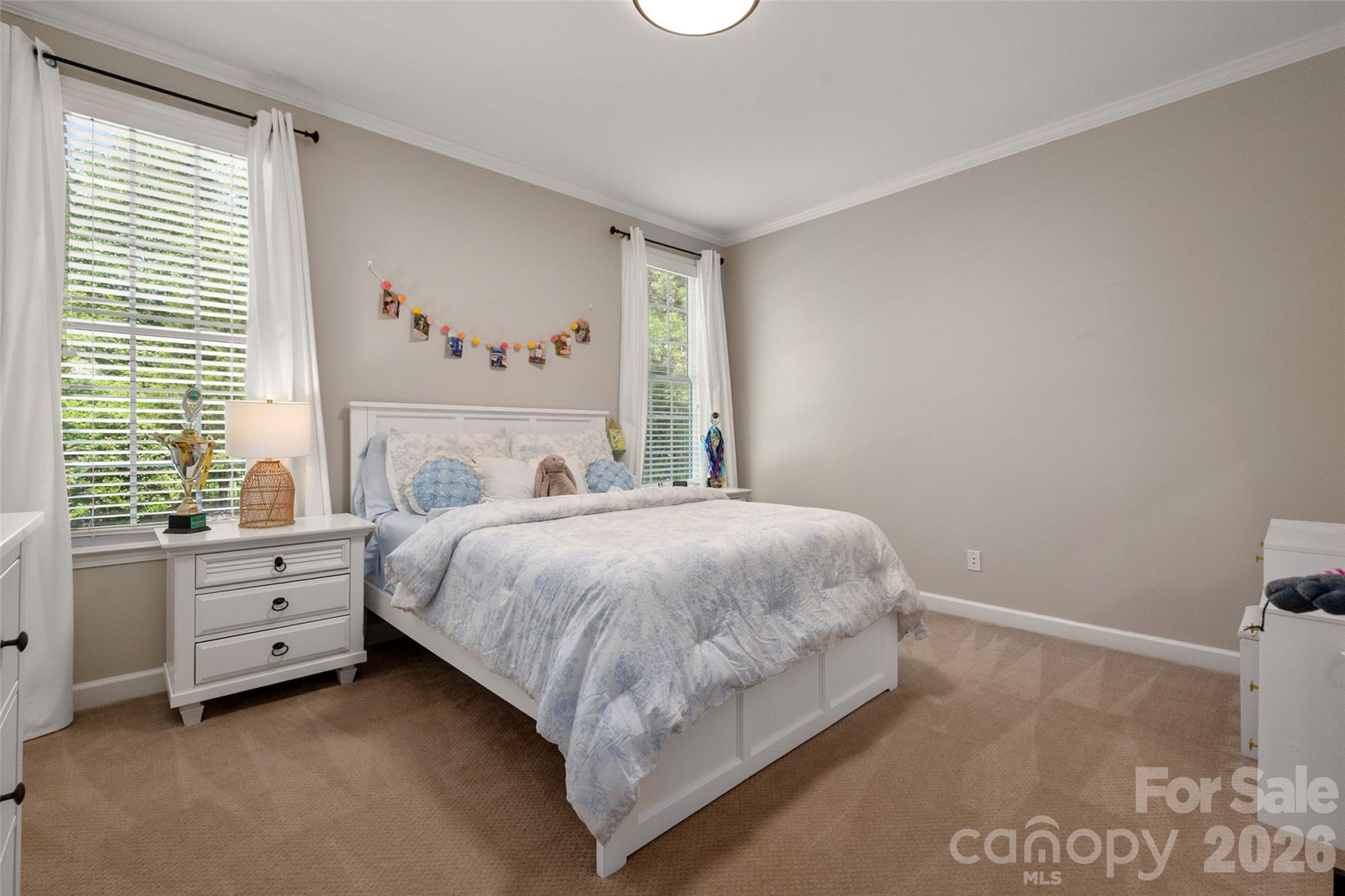10106 Enfield Court, Indian Land, SC - photo 23 of 49