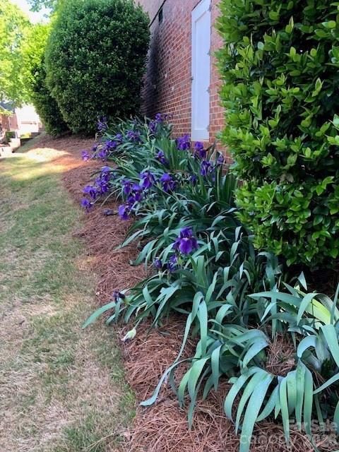 Photo 44 of 13824 Glen Abbey Drive, Charlotte, NC