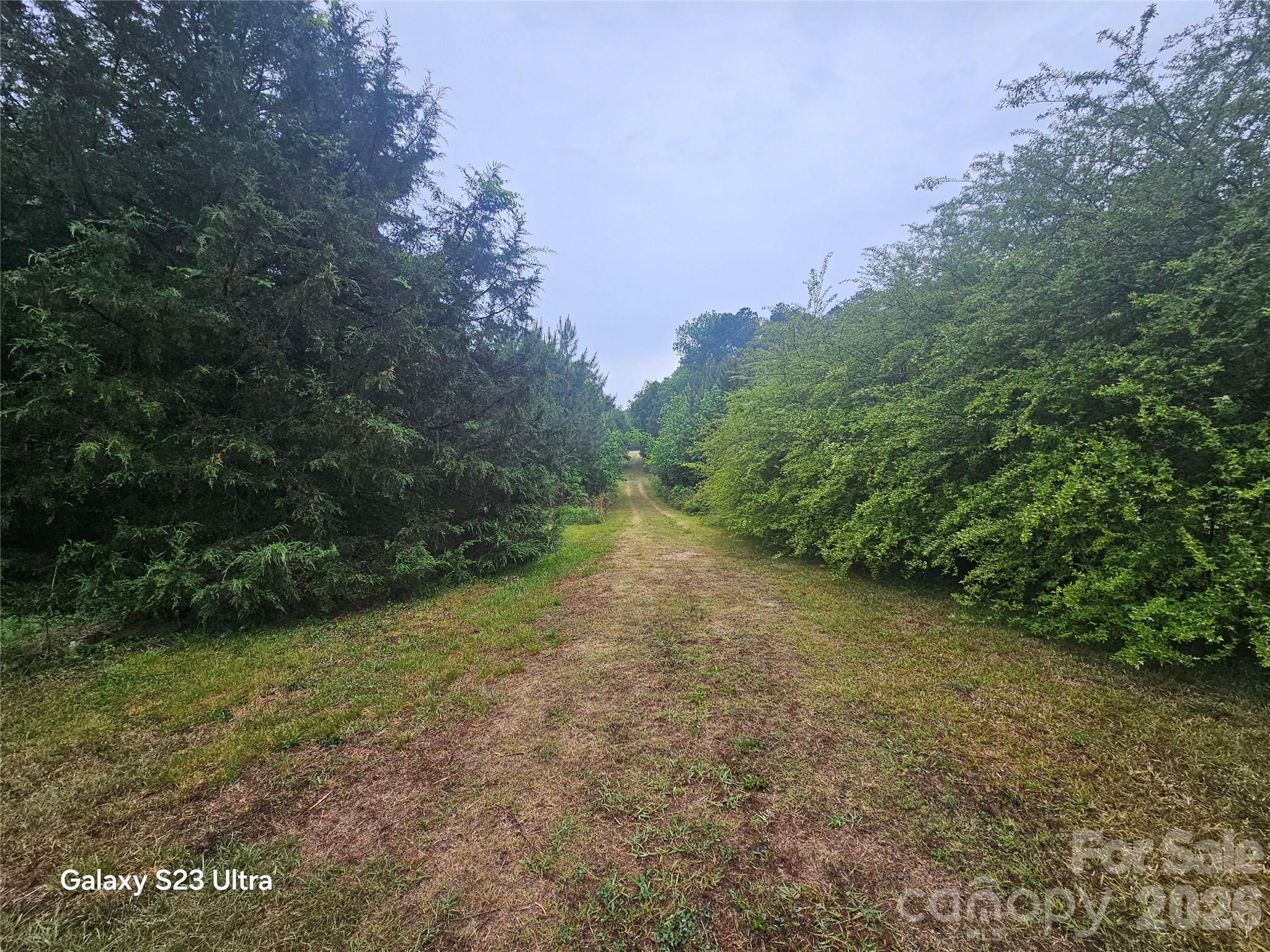 11056 US Highway 52 Highway N, Wadesboro, NC - photo 34 of 35