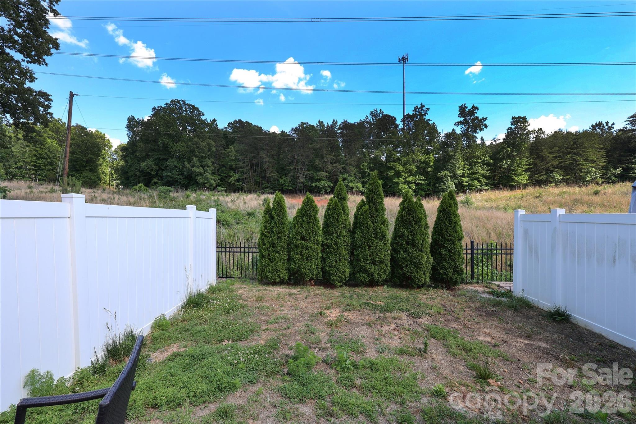 1086 Chicory Trace, Clover, SC - photo 34 of 43