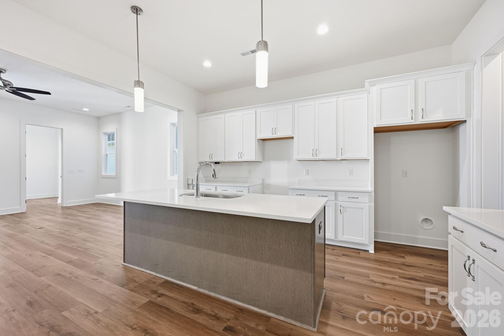 9109 Maybry Park StreetLot 115, Charlotte, NC - photo 7 of 31