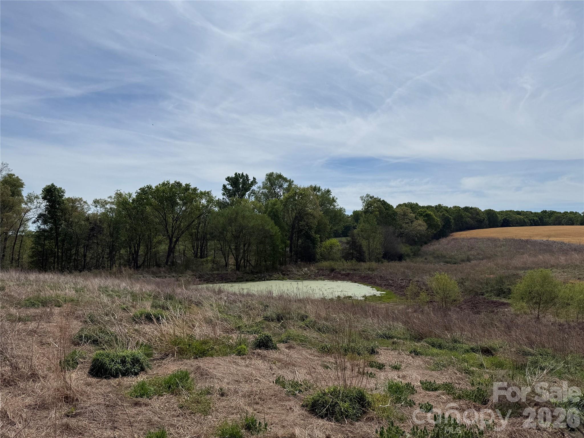 1601 Olive Branch Road, Polkton, NC - photo 31 of 35