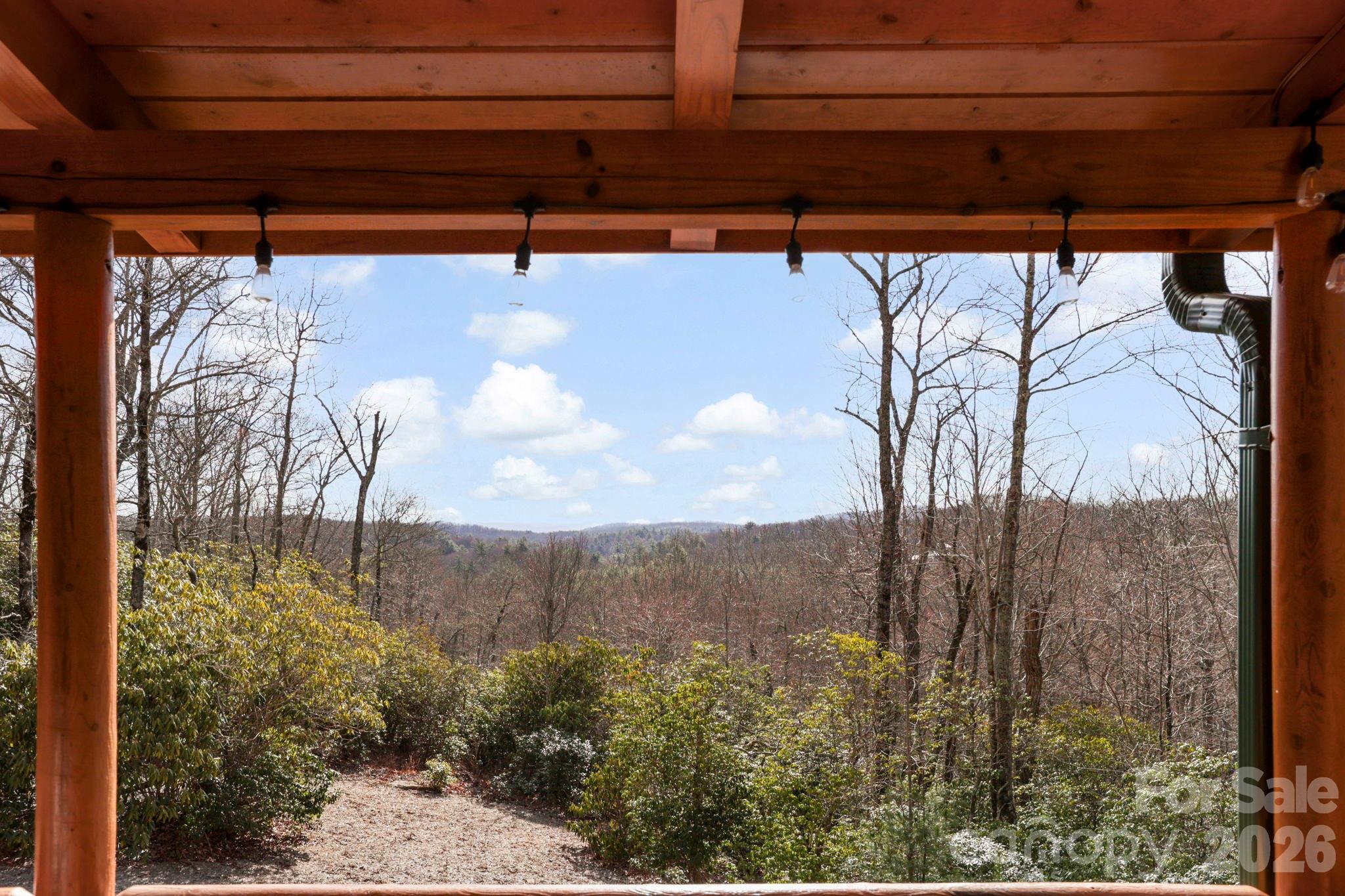 78 Longview Ridge Road, Lake Toxaway, NC - photo 7 of 44