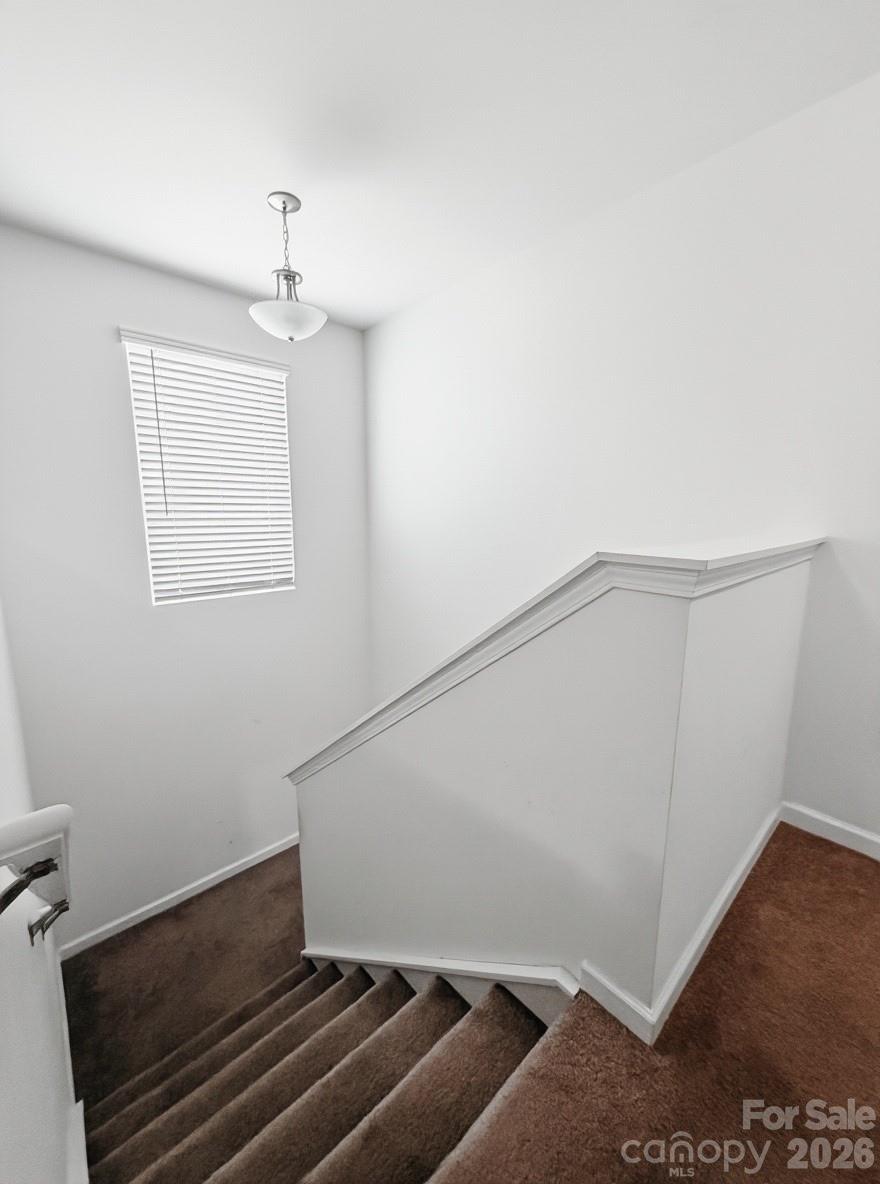 244 Amberly Circle, Pageland, SC - photo 14 of 24